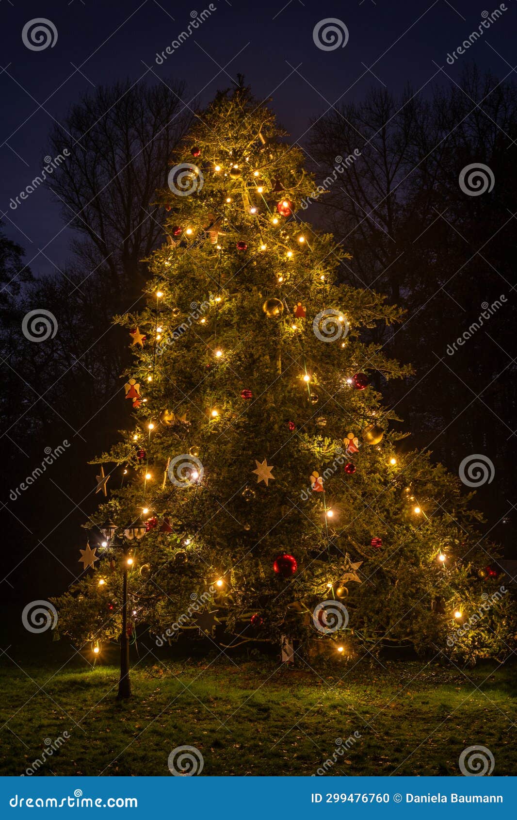 Large Decorated and Lit Christmas Tree at Night Time Stock Photo ...