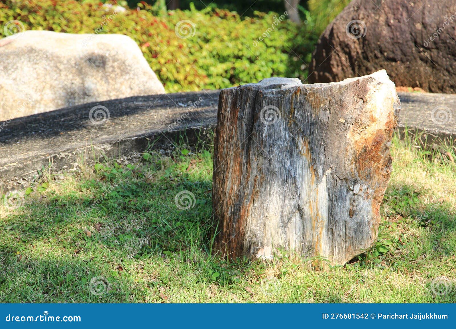Large Decorative Stone at the Park it Beautiful and Natural Stock Photo ...