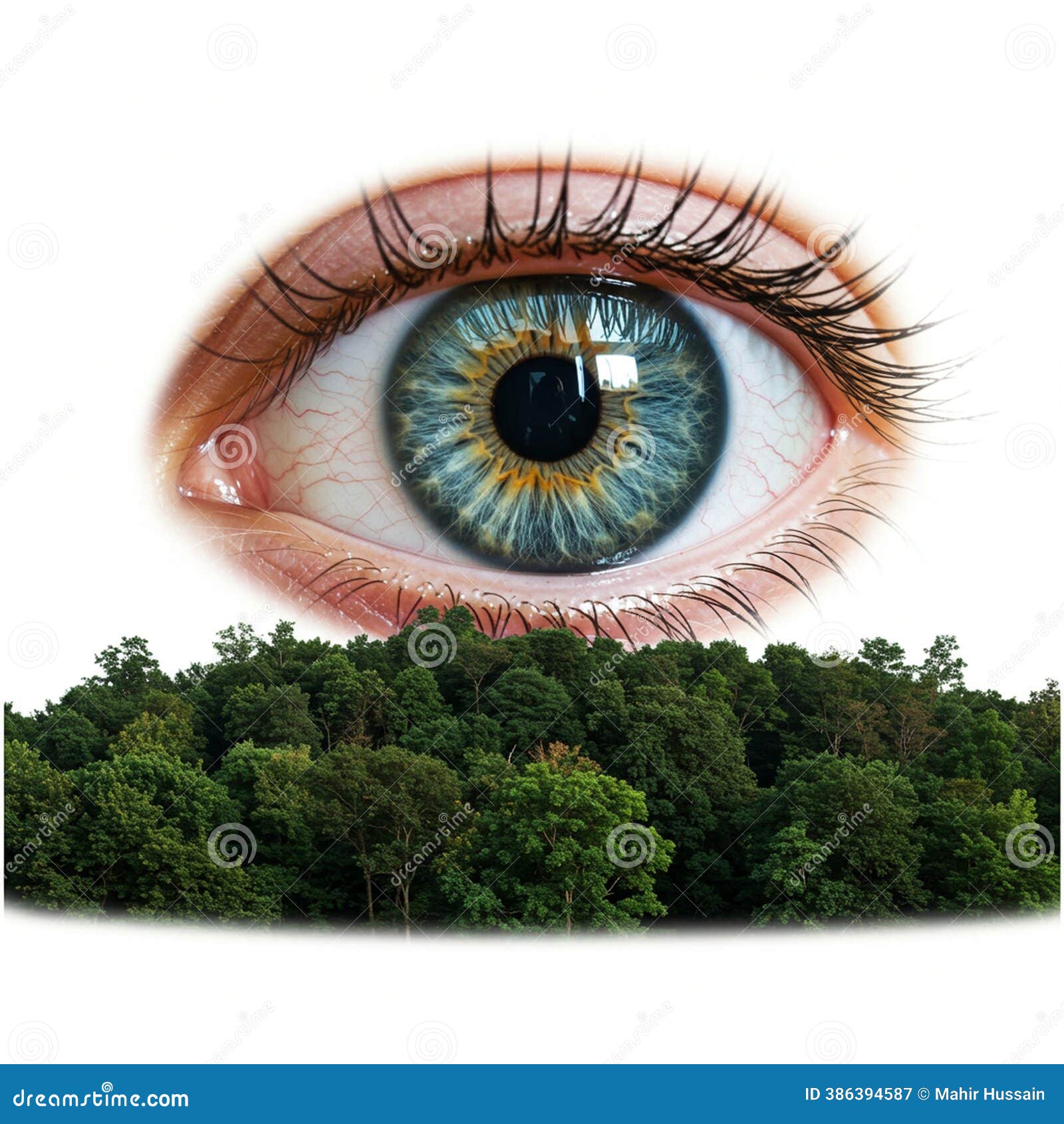 Detailed Human Pancreas Anatomy Illustration Showing Structure And ...