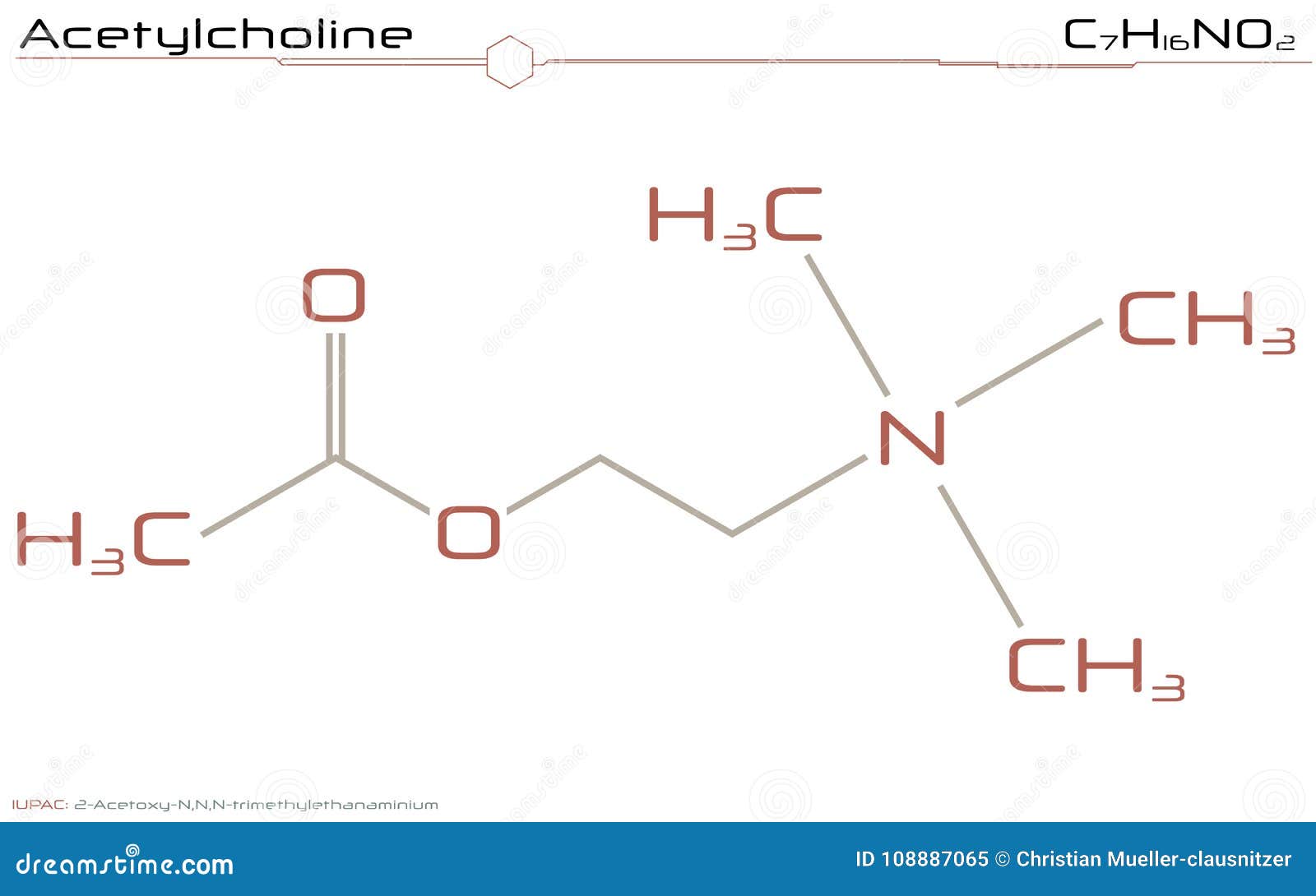 Molecule of Acetylcholine stock vector. Illustration of white - 108887065