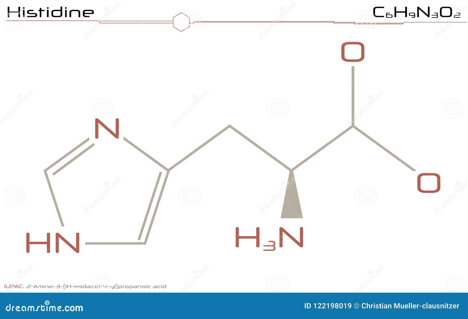 Molecule Of Histidine, His, An Amino Acid Used In The Biosynthesis Of ...