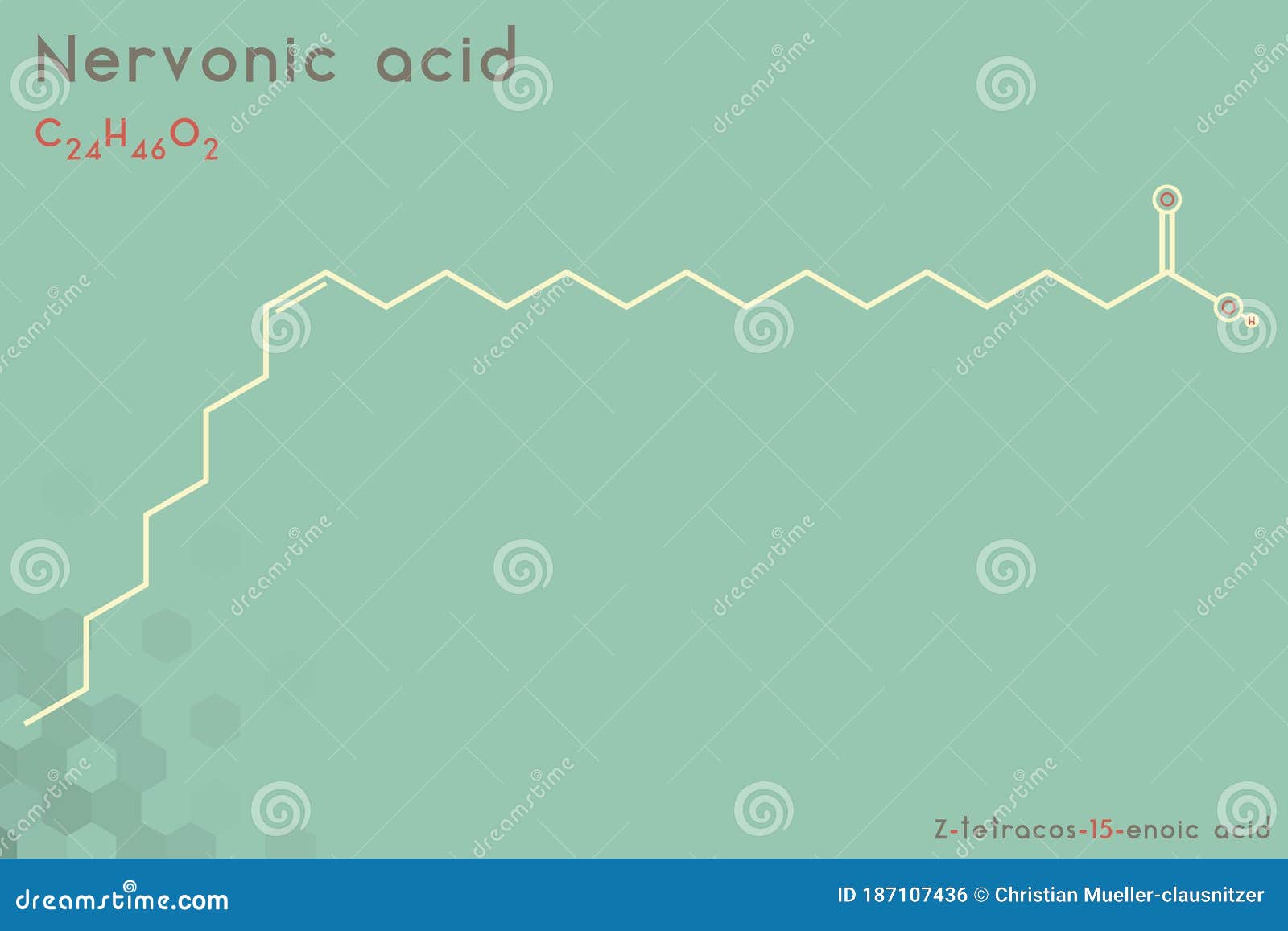 Infographic of the Molecule of Nervonic Acid Stock Vector ...