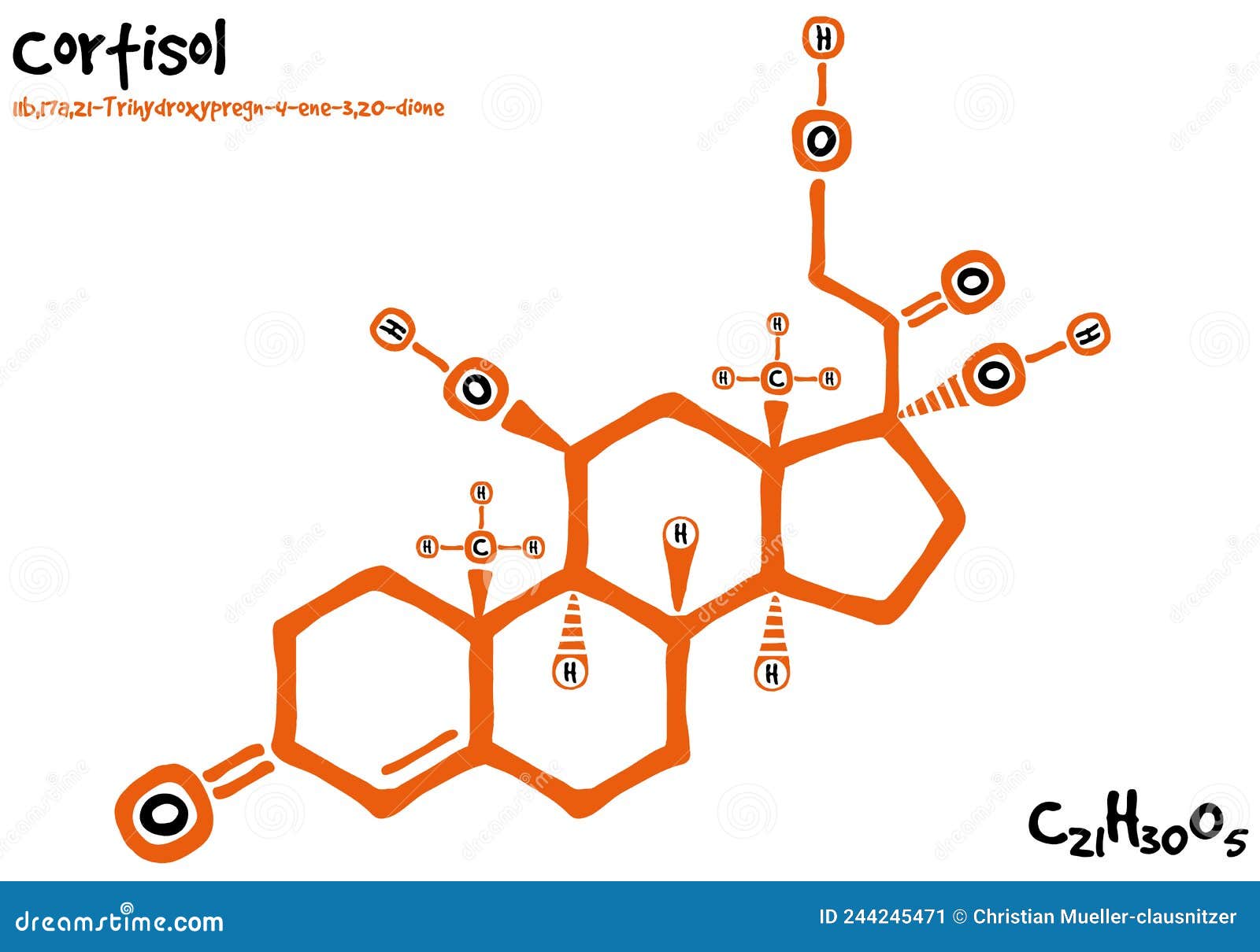 Drawn Molecule and Formula of Cortisol Stock Vector - Illustration of ...