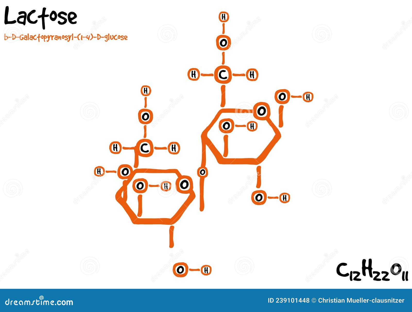 Drawn Molecule and Formula of Lactose Stock Vector - Illustration of ...