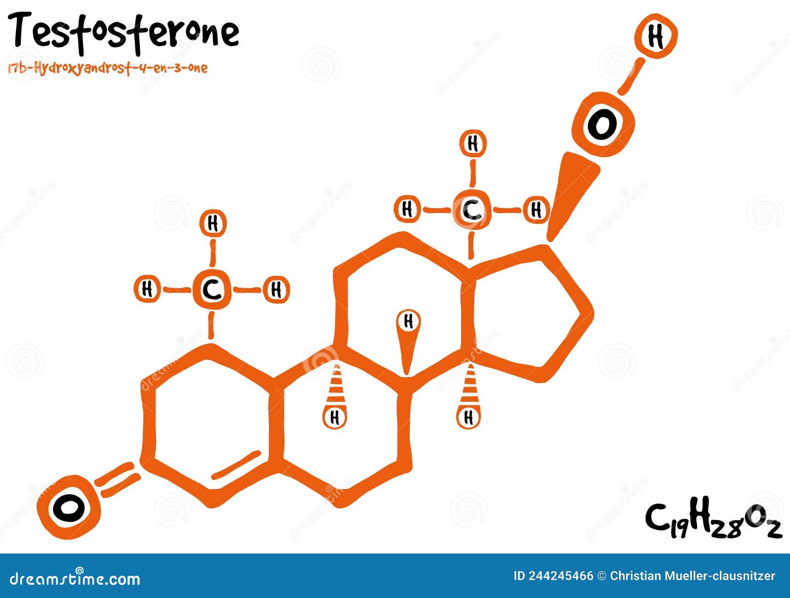 Drawn Molecule and Formula of Testosterone Stock Vector - Illustration ...