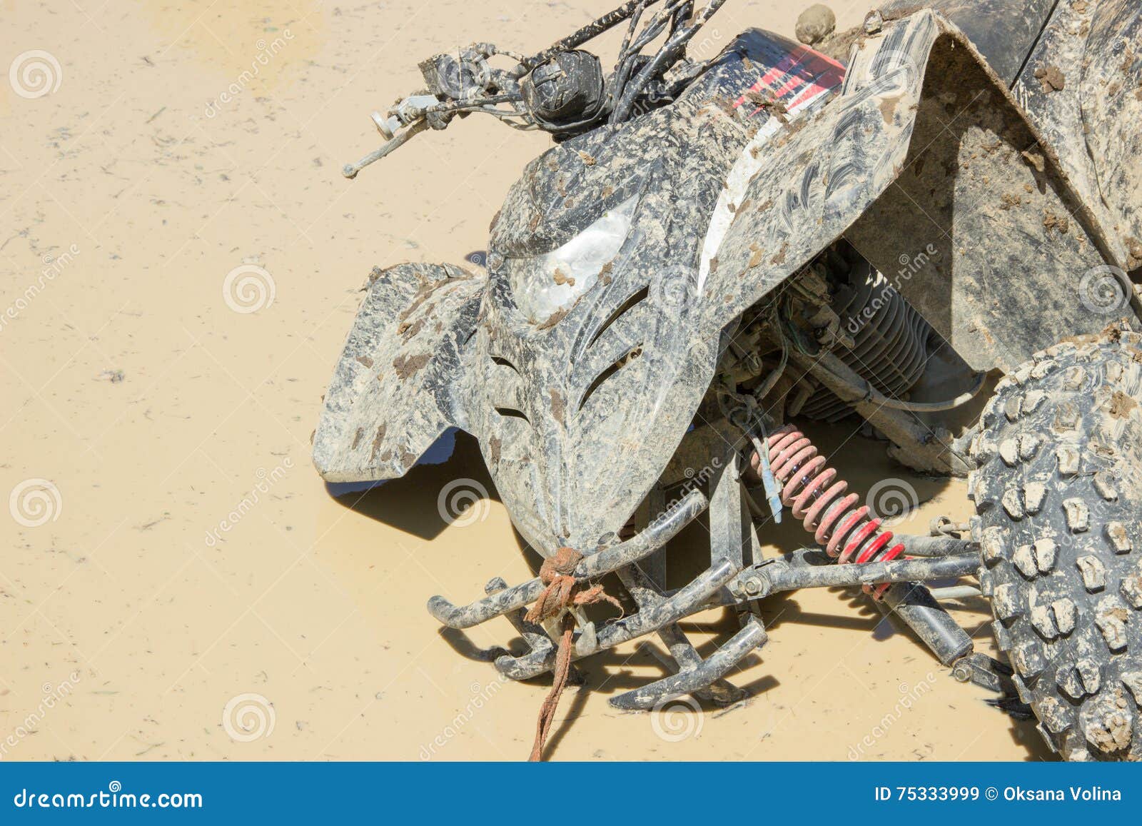 Large Dirty ATV Stuck in a Puddle on a Forest Road Stock Image - Image ...