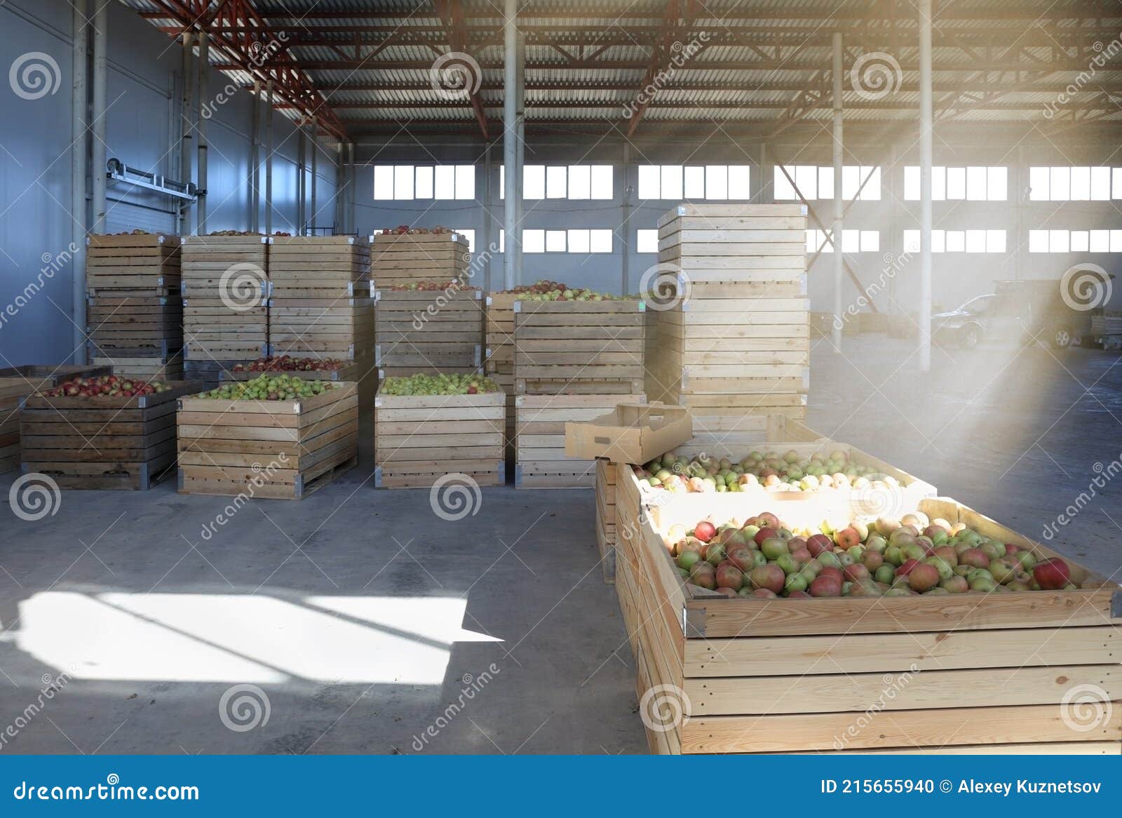 Large Distribution Warehouse with Apples Stock Photo - Image of ...