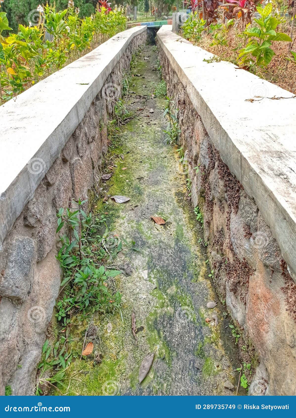 Large Ditch in the Countryside Stock Image - Image of village, ditch ...