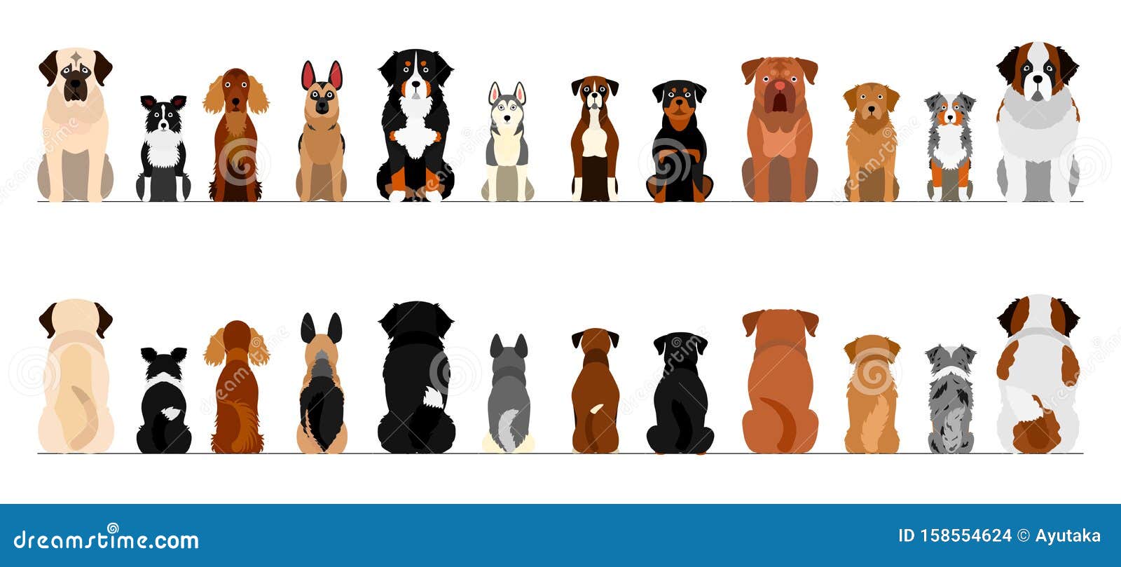 Large Dogs Border Set, Full Length, Front and Back Stock Vector ...