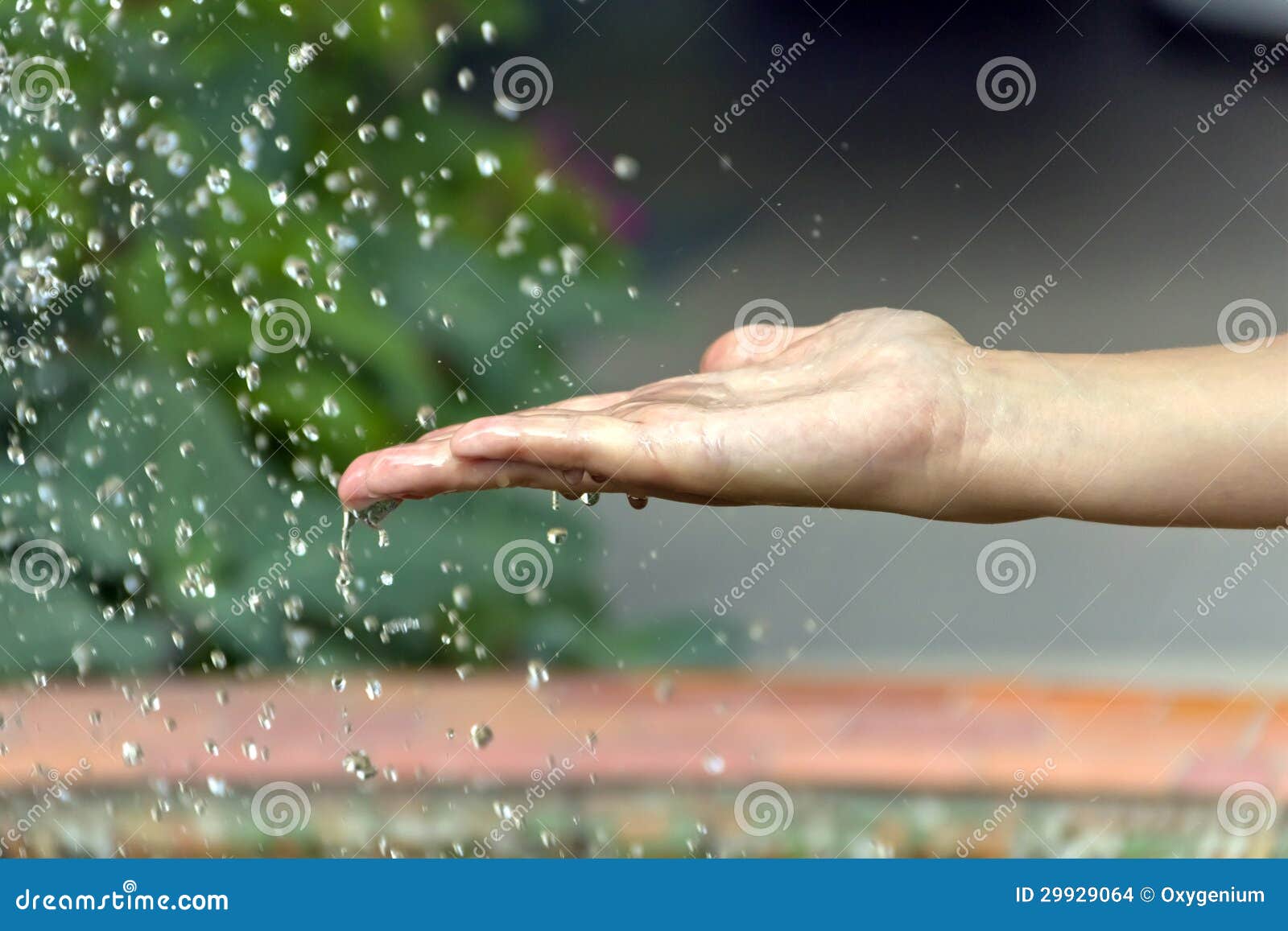 Hand under the water drops stock photo. Image of spray - 29929064