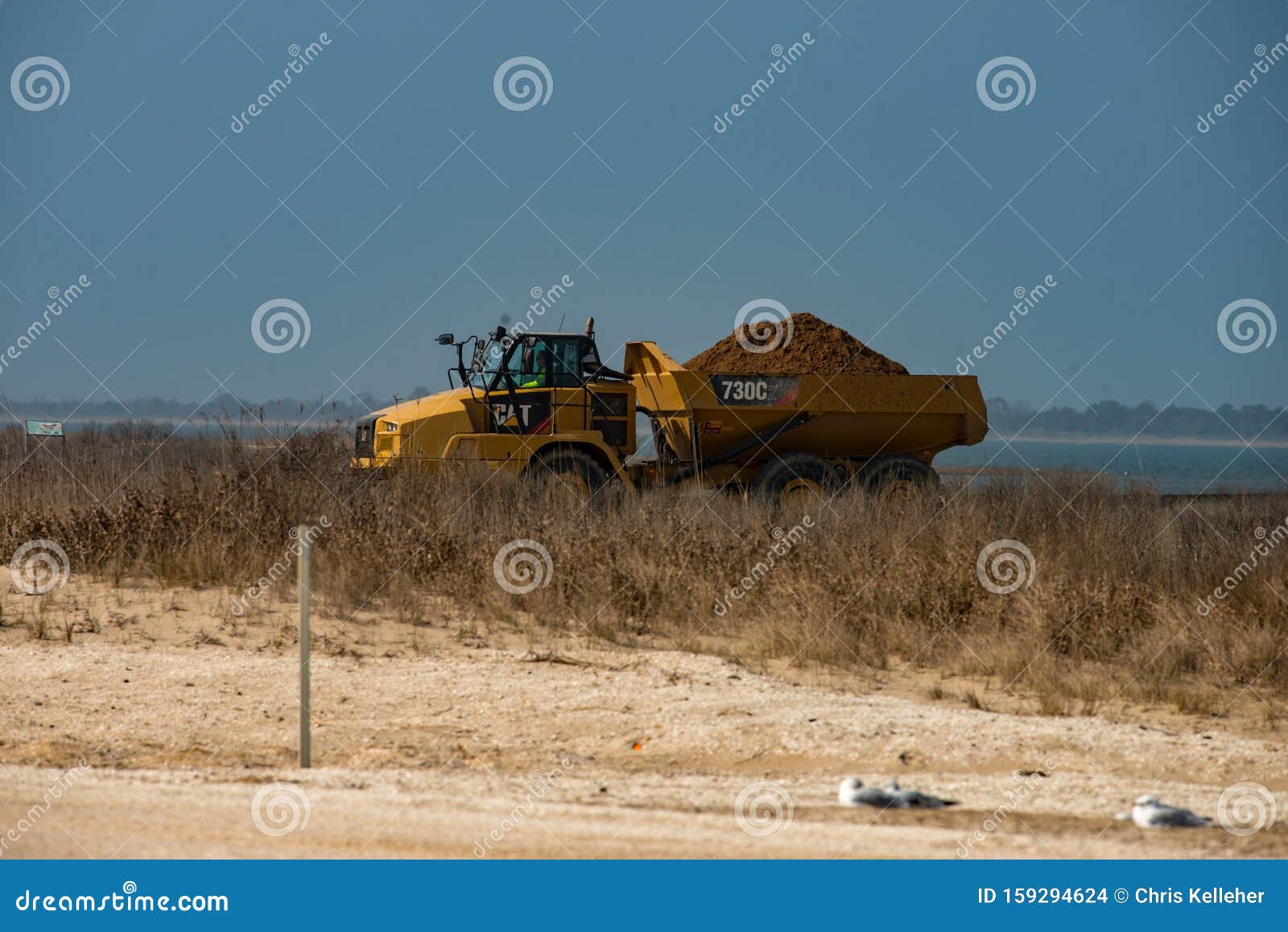 View of Large Dump Truck Carrying Sand on Beach Editorial Stock Image ...