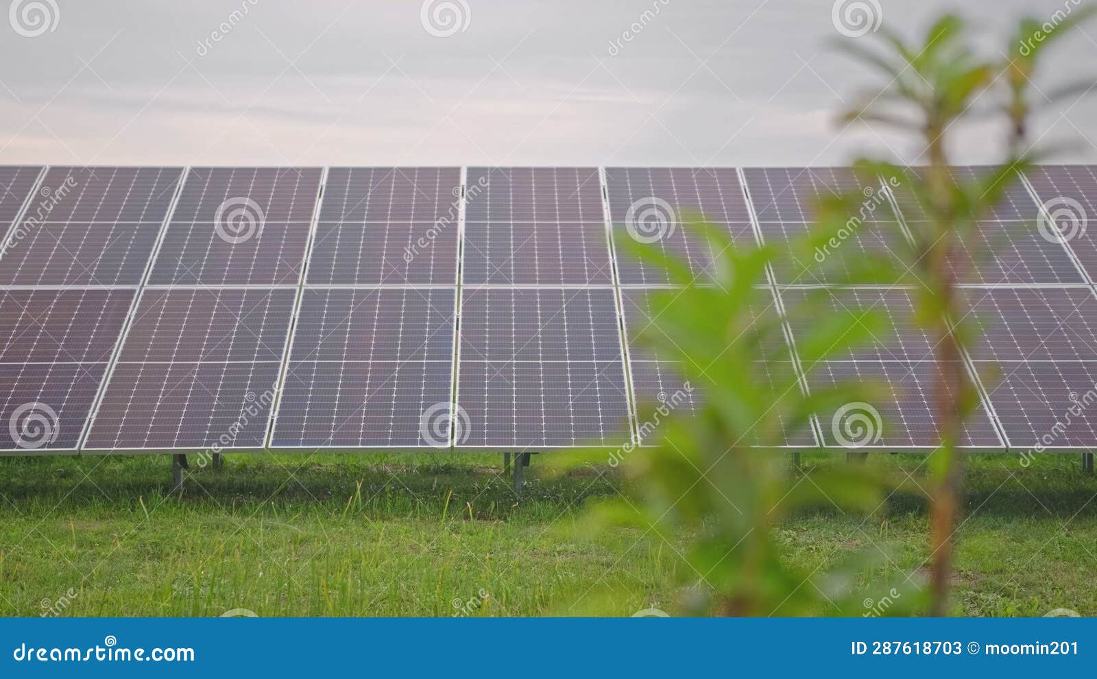Large Electric Photovoltaic Solar Panel Array Stock Image - Image of ...
