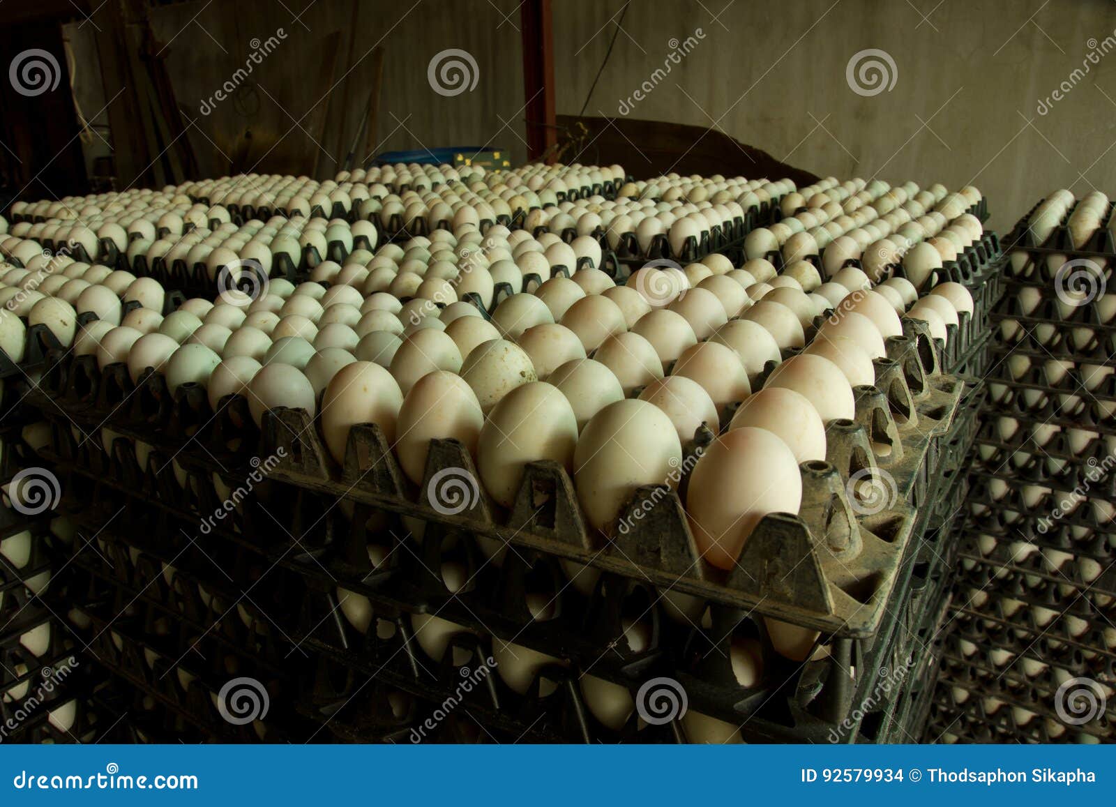 Large eggs stock photo. Image of icon, meat, objects - 92579934