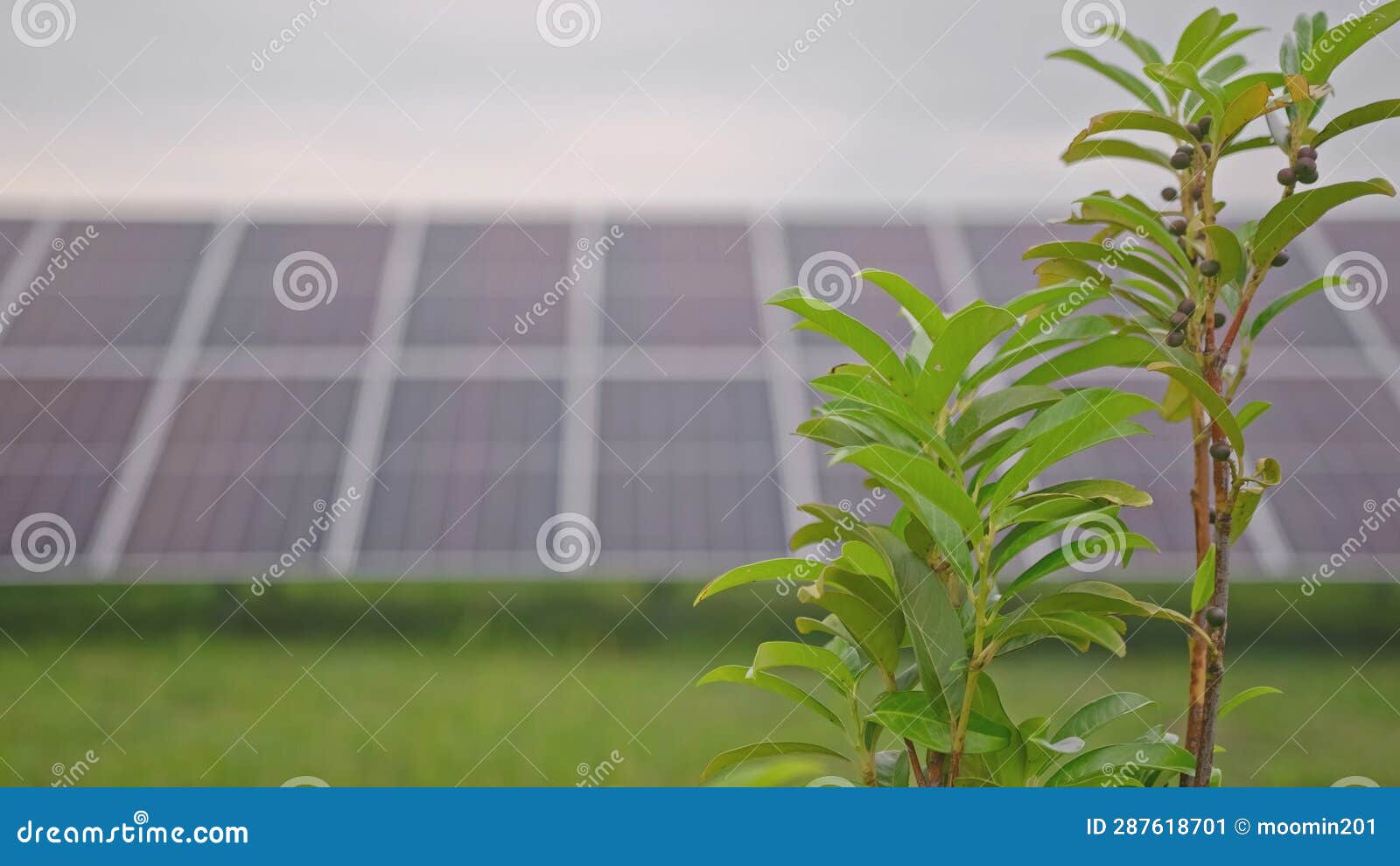 Large Electric Photovoltaic Solar Panel Array Stock Image - Image of ...