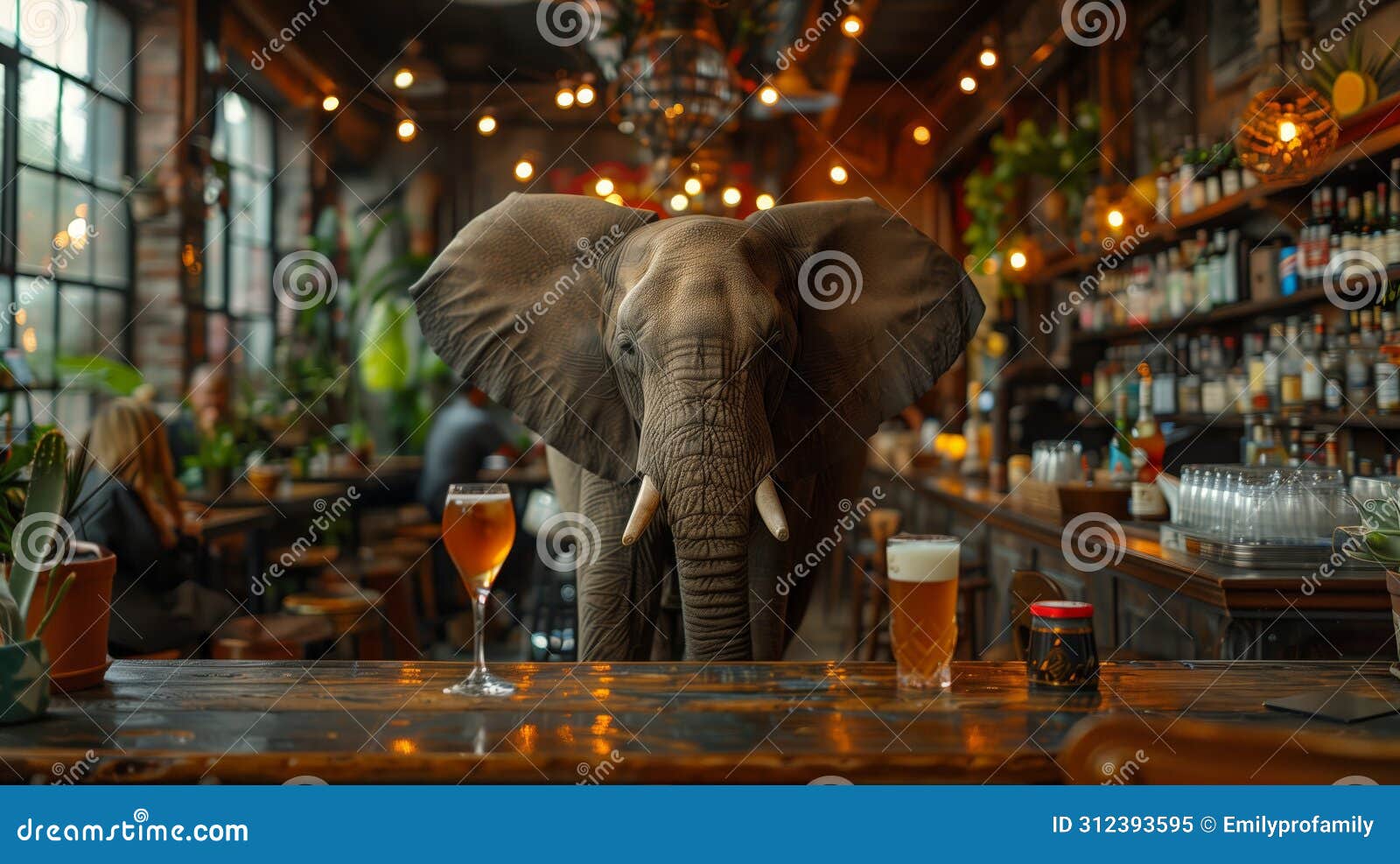 Elephant Standing in Bar with Glass of Beer Stock Image - Image of ...