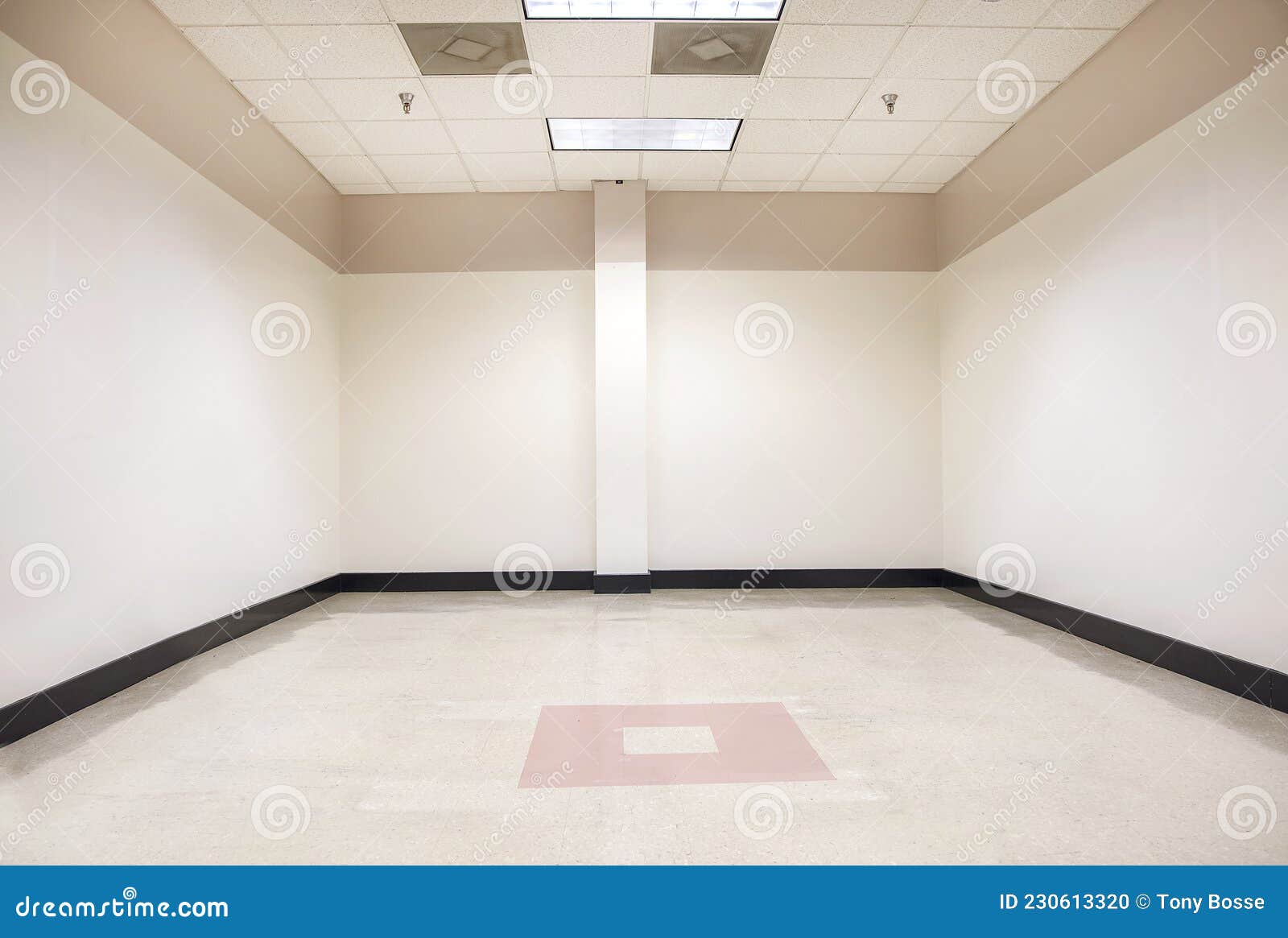 Empty Commercial Room, Office Stock Photo - Image of work, room: 230613320