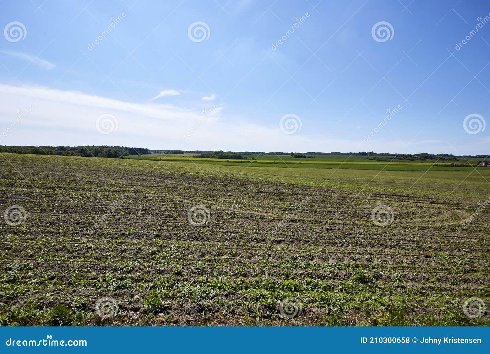 Large Empty Field in the Country Side Stock Photo - Image of rocks ...