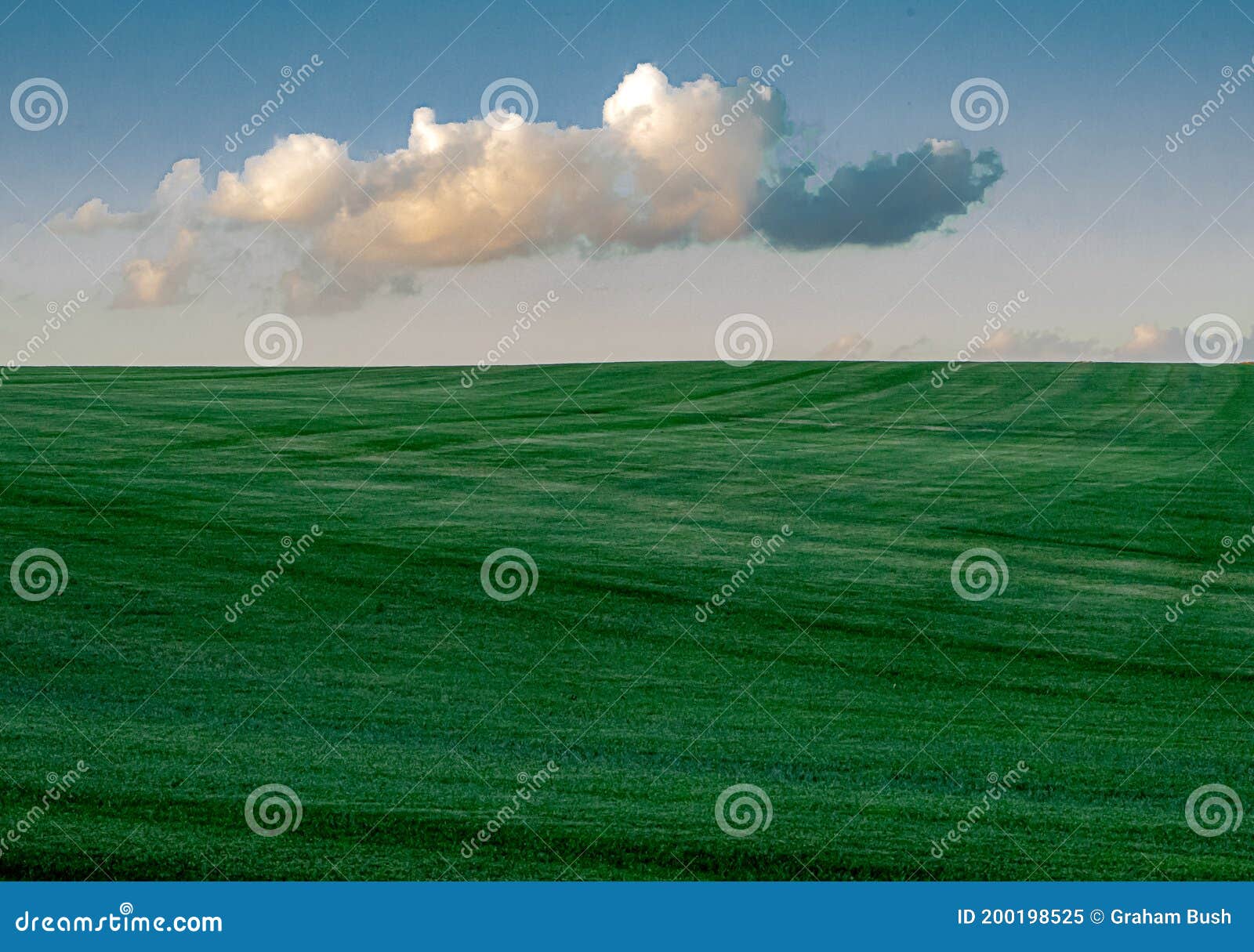 Large Empty Field of Grass with Clouds Stock Image - Image of horizon ...