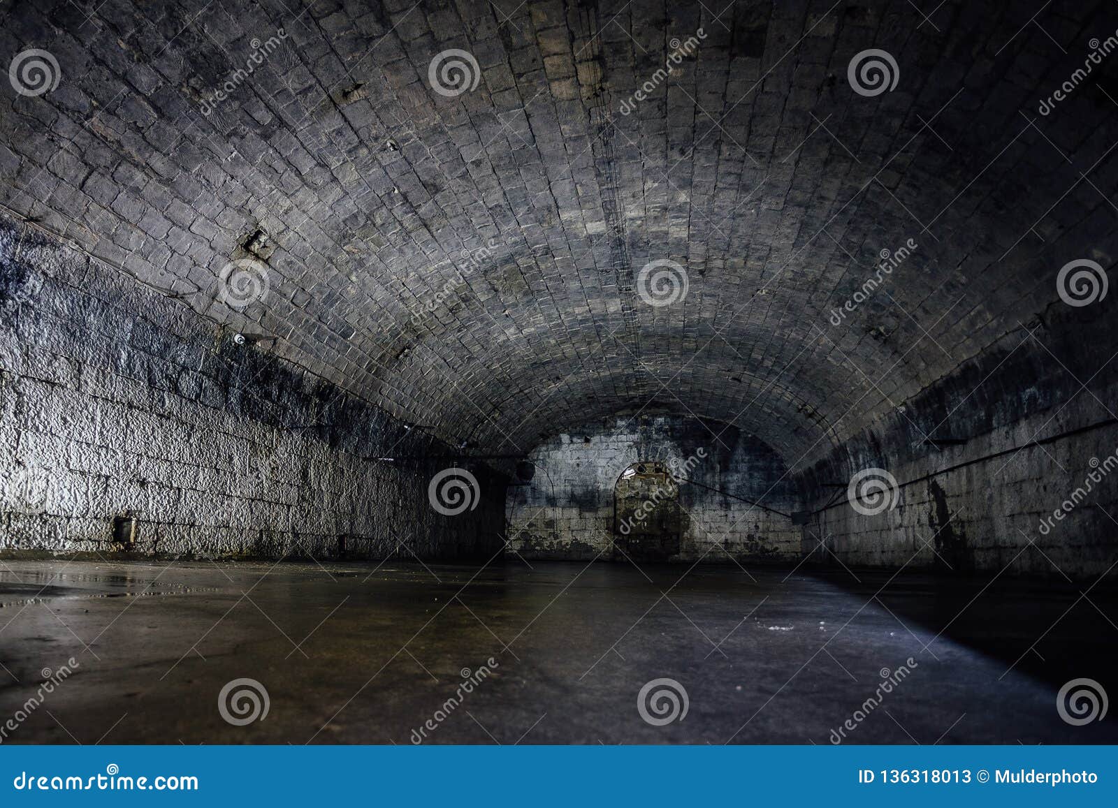Large Empty Old Dark Underground Vaulted Cellar Stock Image - Image of ...