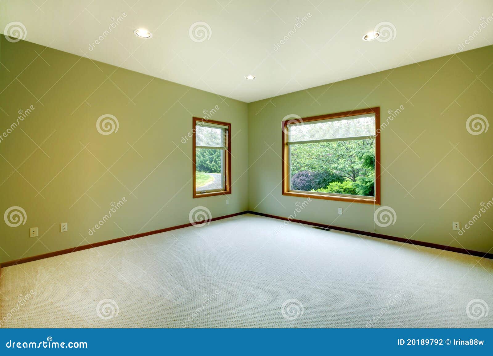 Large Empty Room with Green Walls Stock Photo - Image of door, closet ...