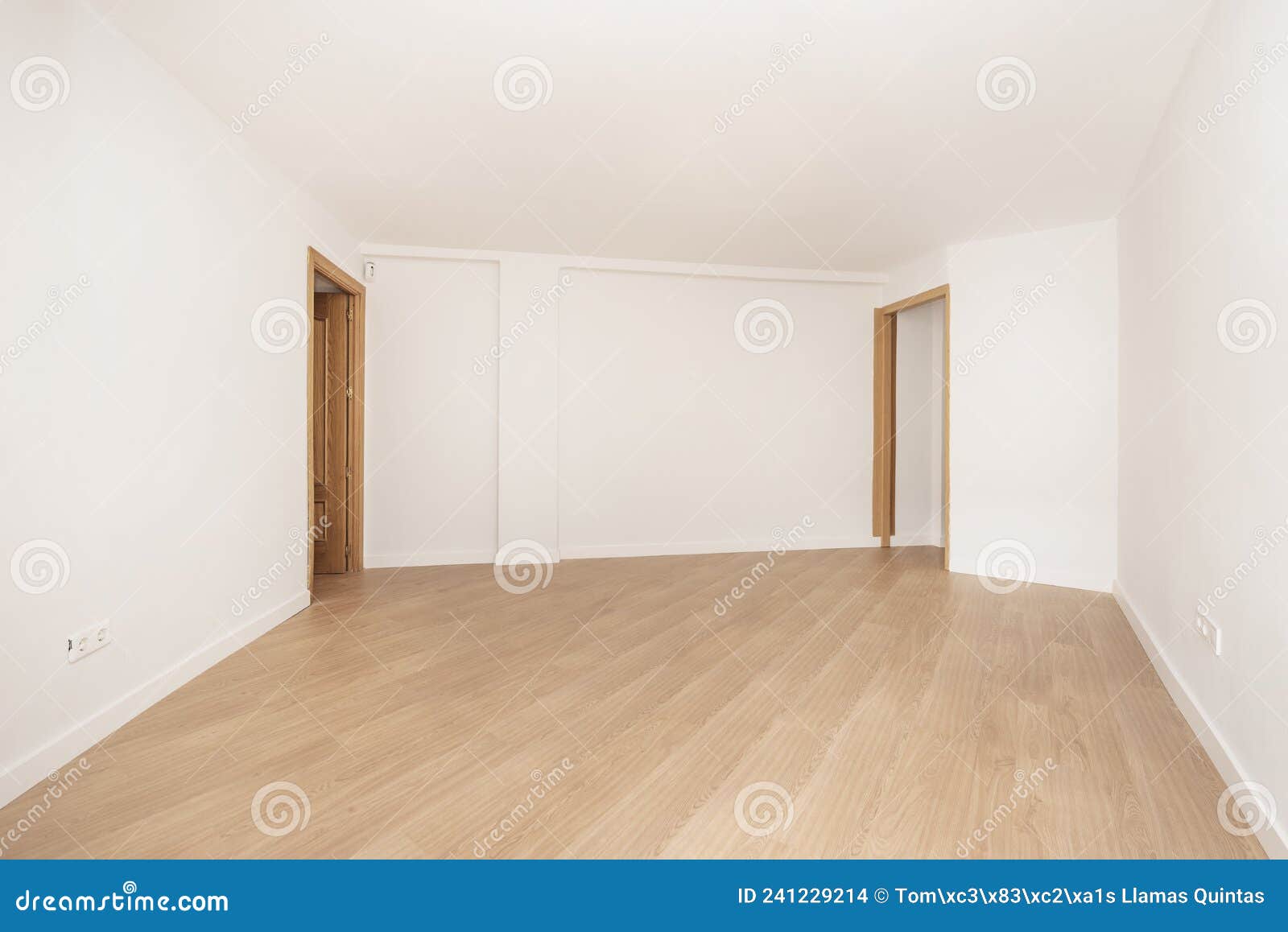 Large Empty Room with Two Oak Doors and Light Stock Photo - Image of ...