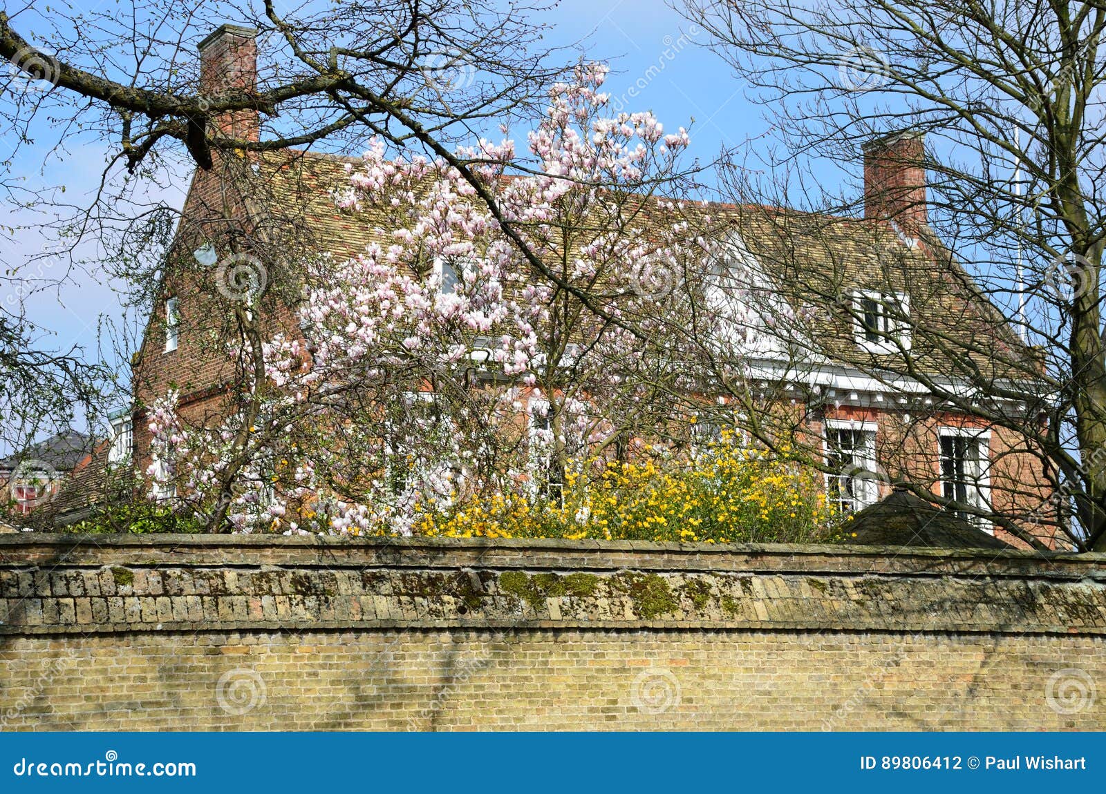 Large English House with Flowers To Front Stock Photo - Image of style ...