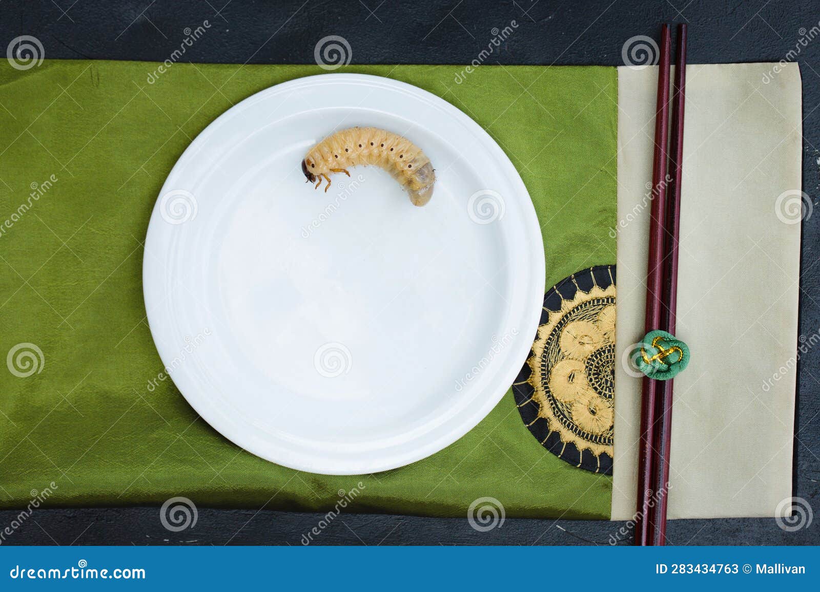 Large Fat Larva of the Maybug on White Plate Stock Image - Image of ...