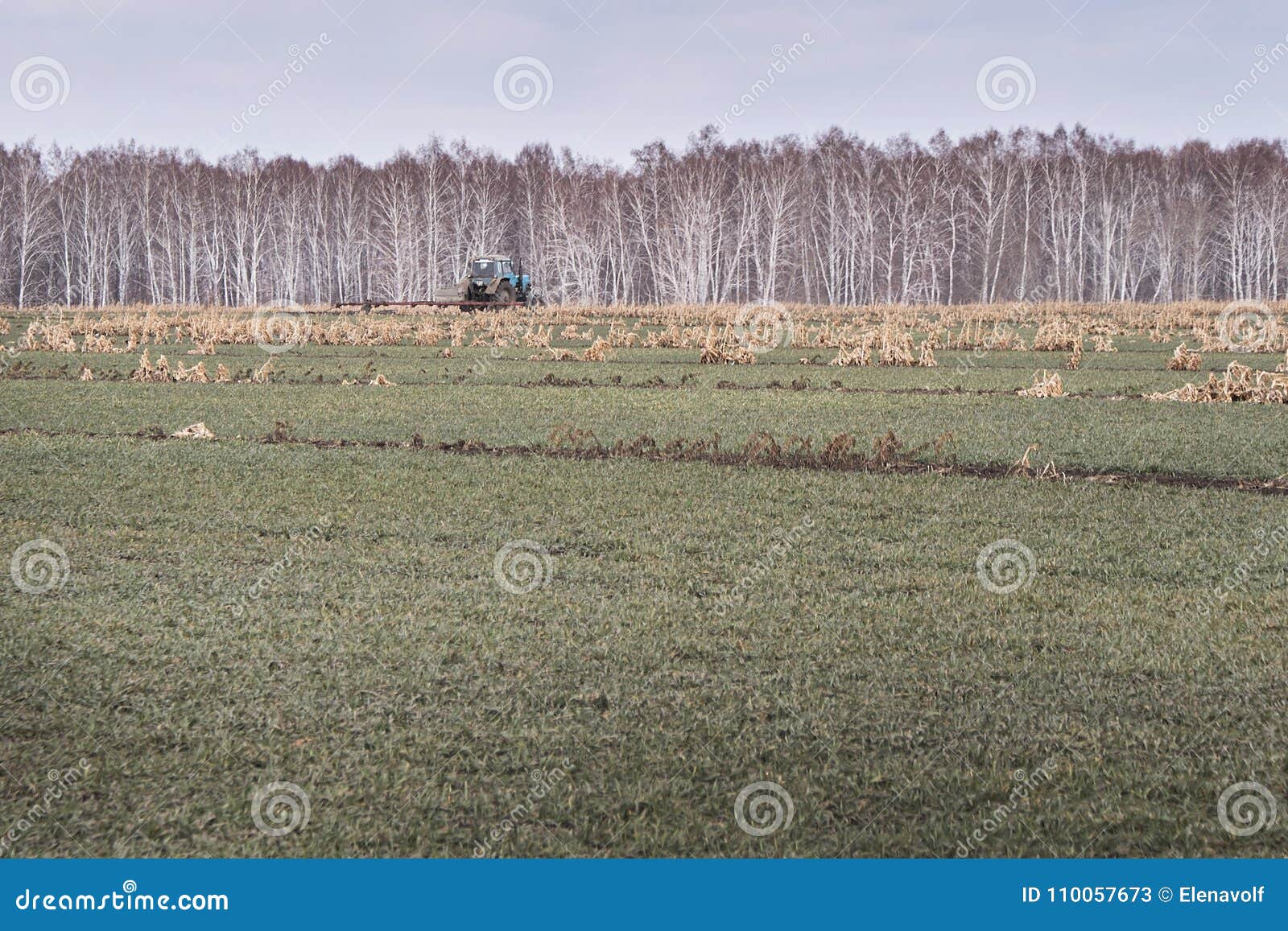 Large Field. Grey Sky. Processing of Land Stock Image - Image of gray ...