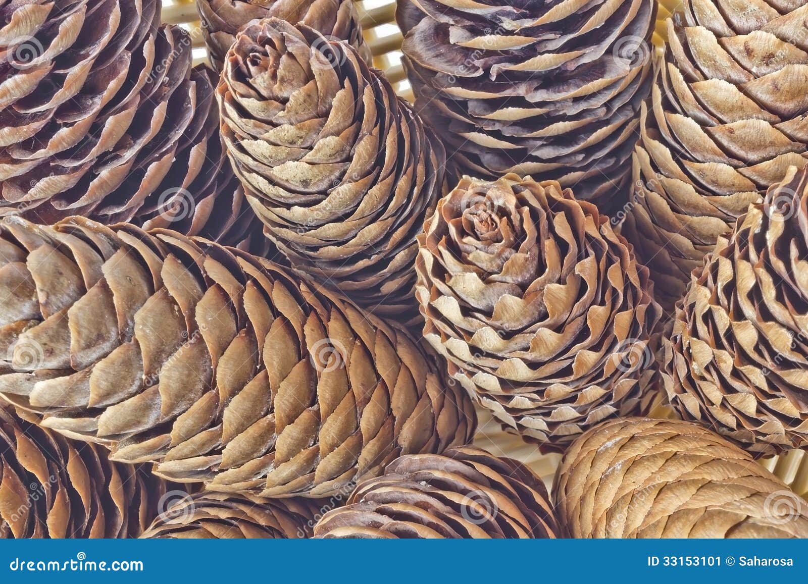 Large Fir Cones in a Basket Stock Image - Image of organic, beautiful ...