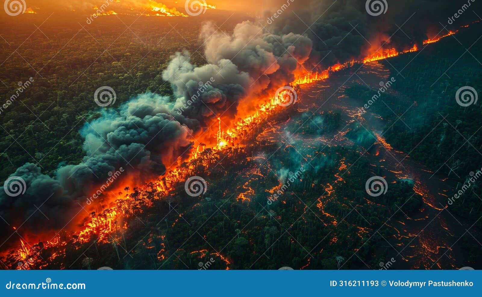 A Large Fire is Burning in the Amazon Rainforest Stock Image - Image of ...