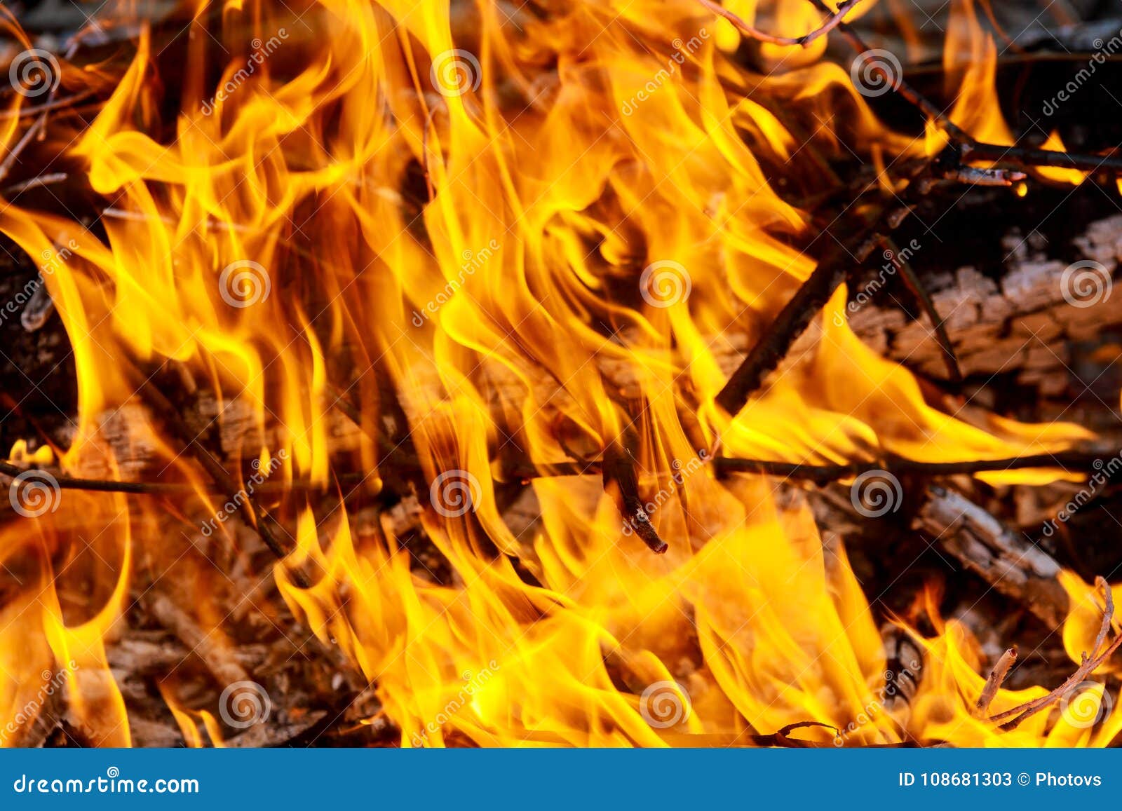 Large Fire Burning Olive Branches after Pruning Stock Image - Image of ...