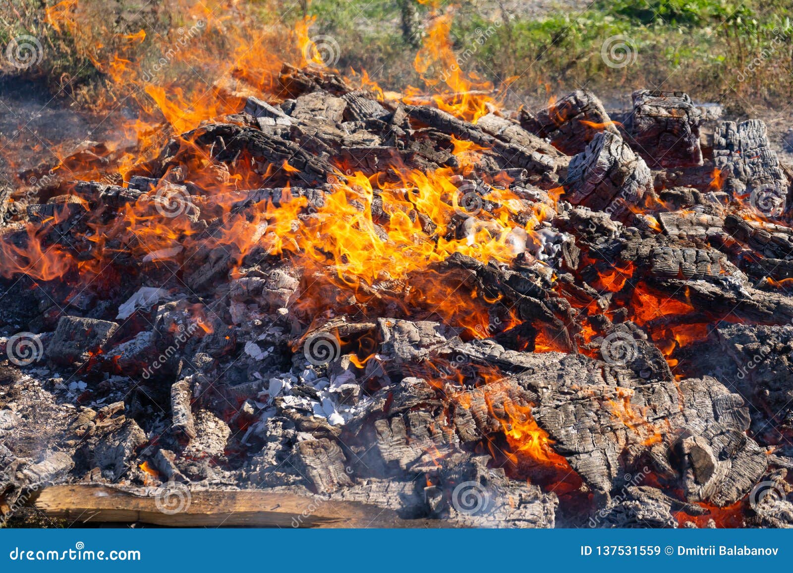 A Large Fire Burning in the Open Stock Image - Image of picnic, energy ...