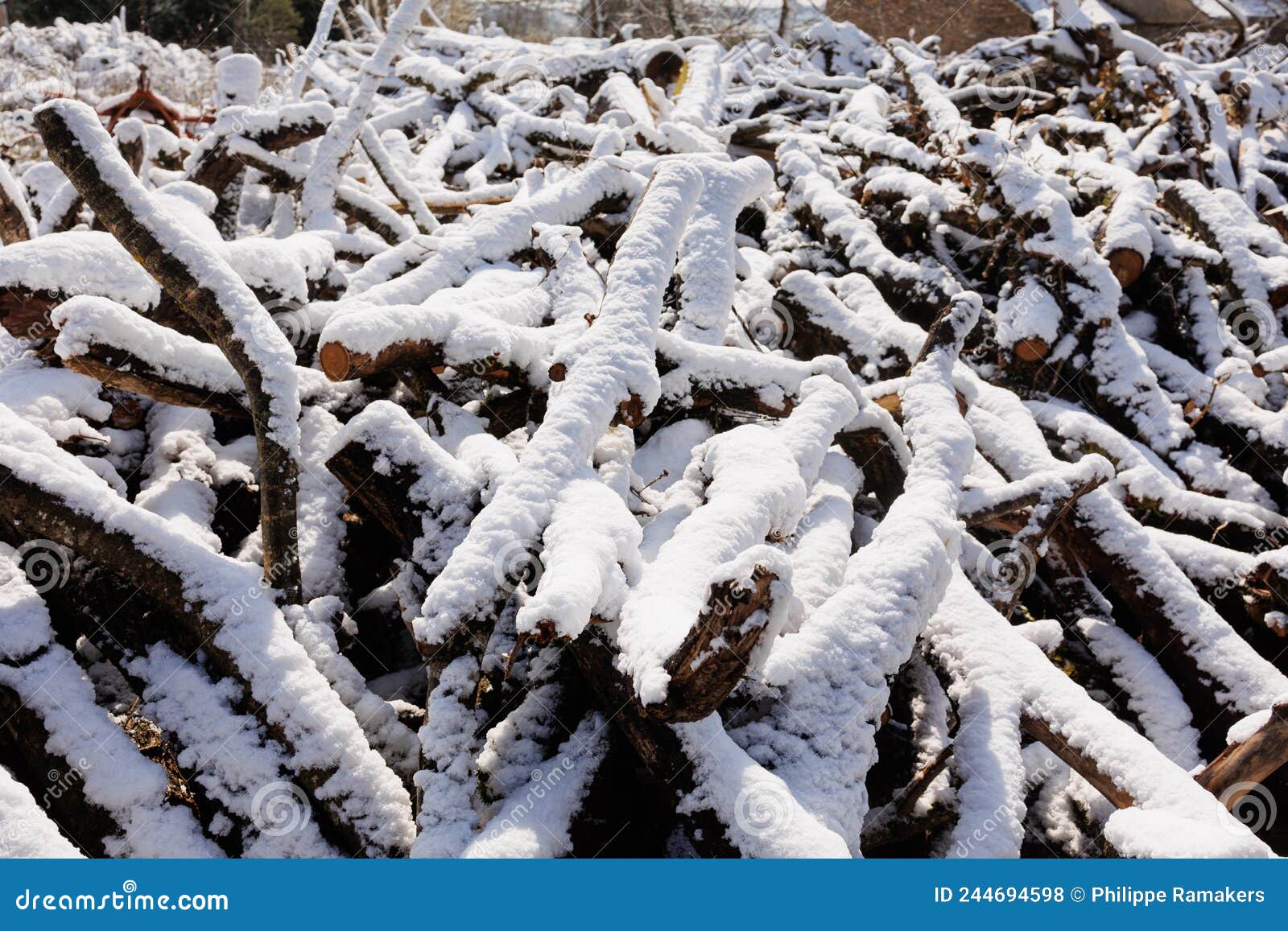 Large Firewood Stack in Winter Covered with Snow Stock Photo - Image of ...