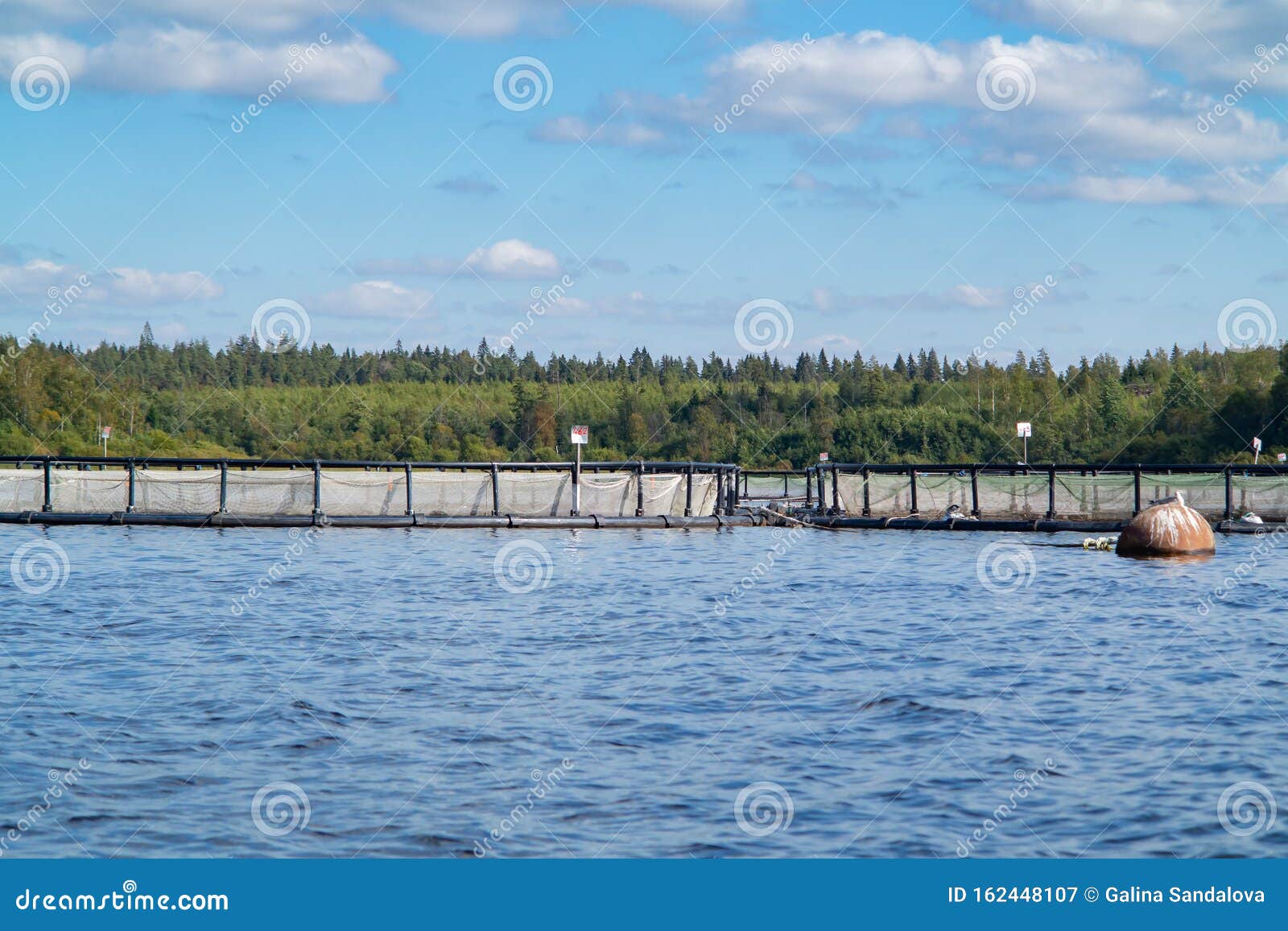 Large Fish Tanks on the River, Salmon Fish Farm Stock Image - Image of ...