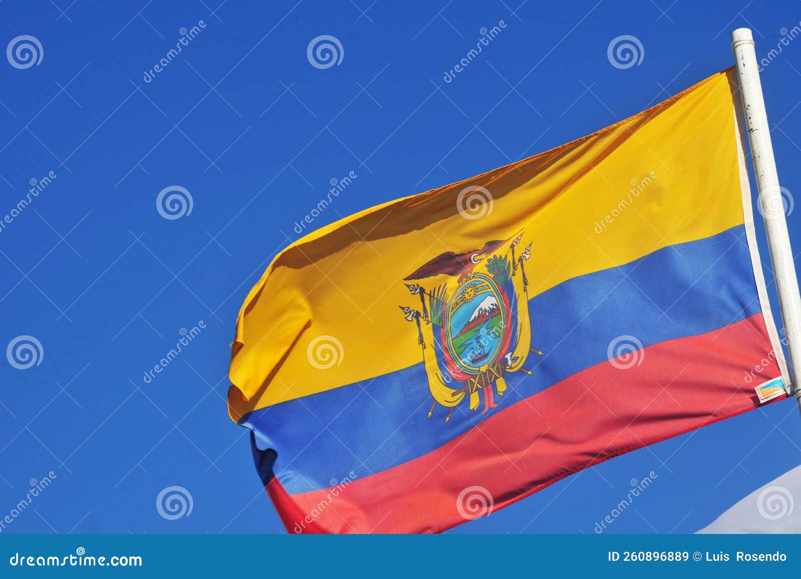Large Flag of Ecuador Waving Stock Image - Image of large, waving ...