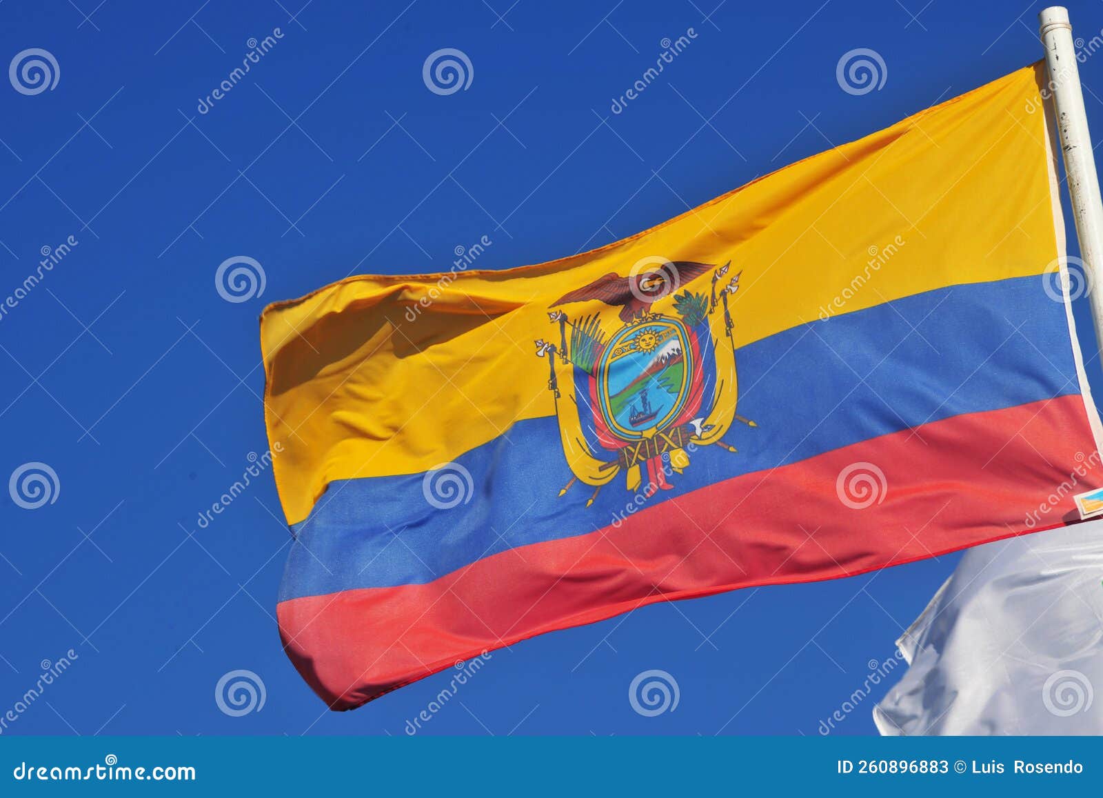 Large Flag of Ecuador Waving Stock Image - Image of flower, flag: 260896883