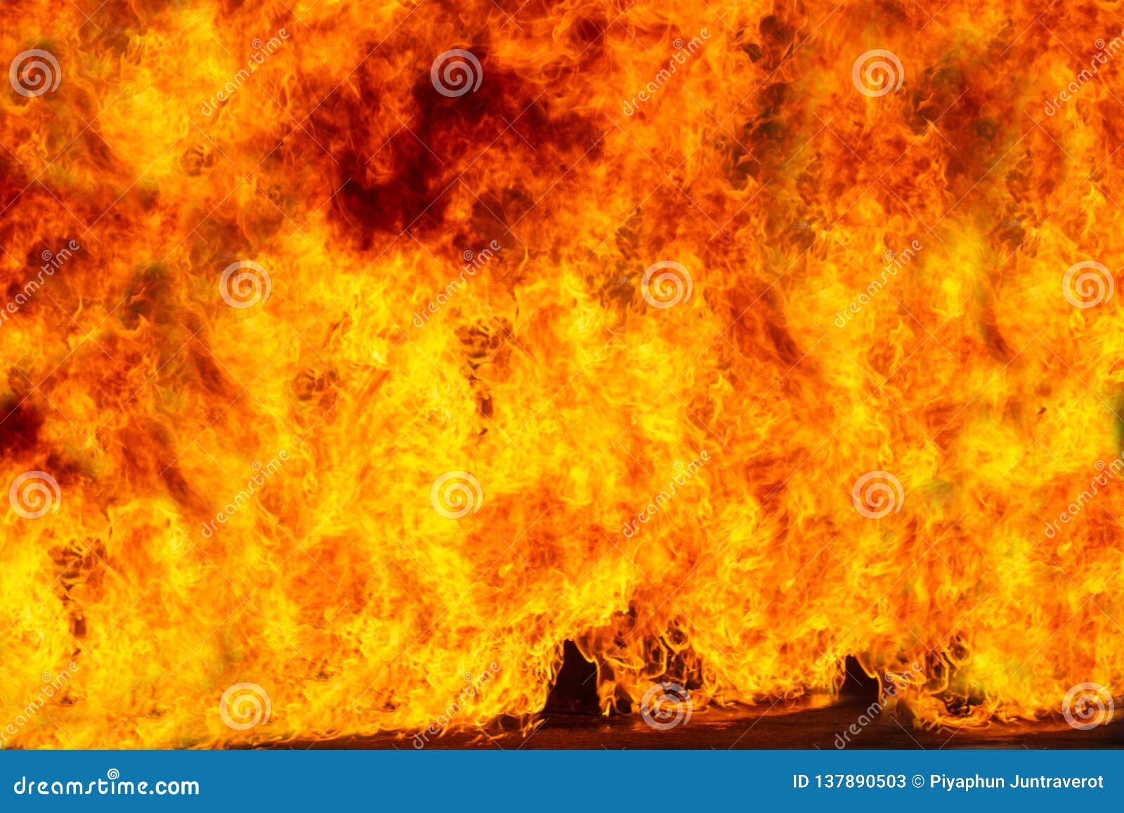 Large Flame Fire Rages, for Burning the Burning Stock Image - Image of ...