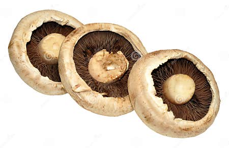 Large Flat Mushrooms stock image. Image of food, nutrition - 36632049