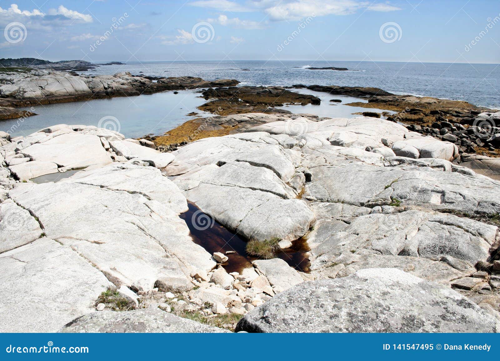 Rocks on the Shore of the Ocean Stock Image - Image of nature, rock ...