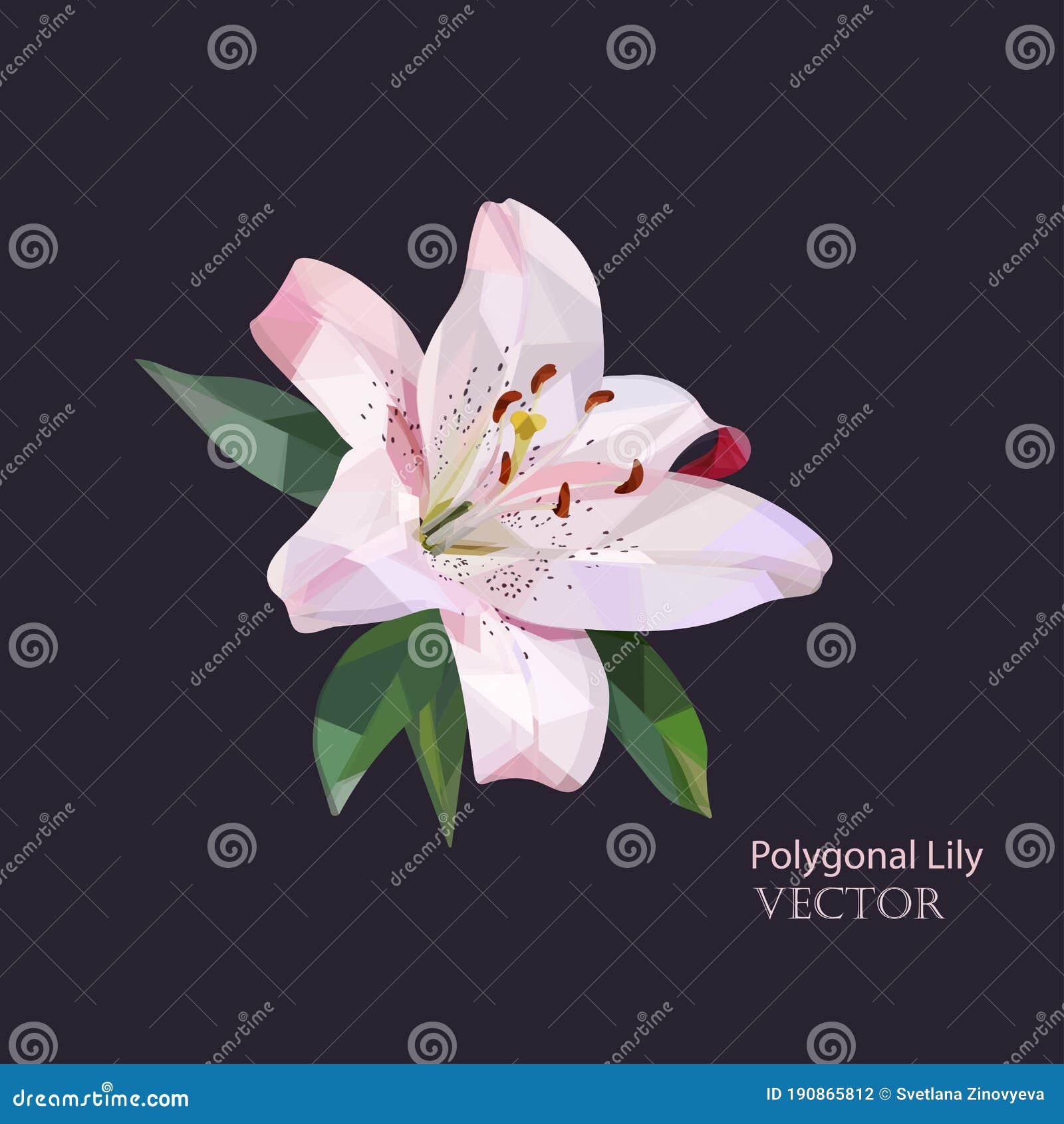 Large Flower of Delicate Pink Lily on a Dark Background. Low Poly ...