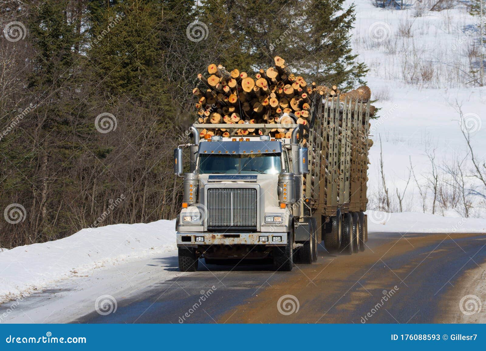Large Forest Transport Truck at Work in Canada Editorial Stock Photo ...