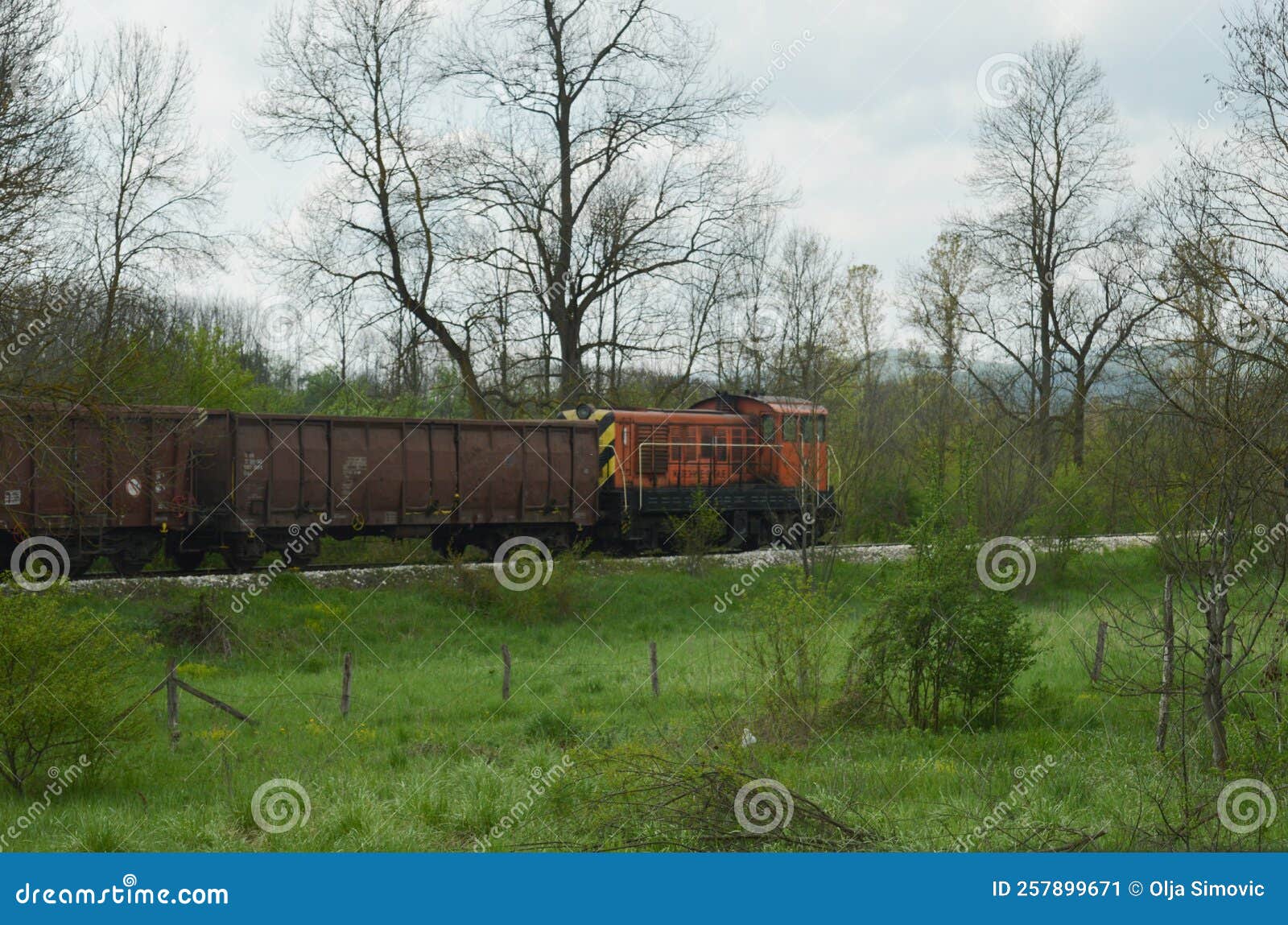 Large Freight Train on the Plain Stock Image - Image of tree, color ...