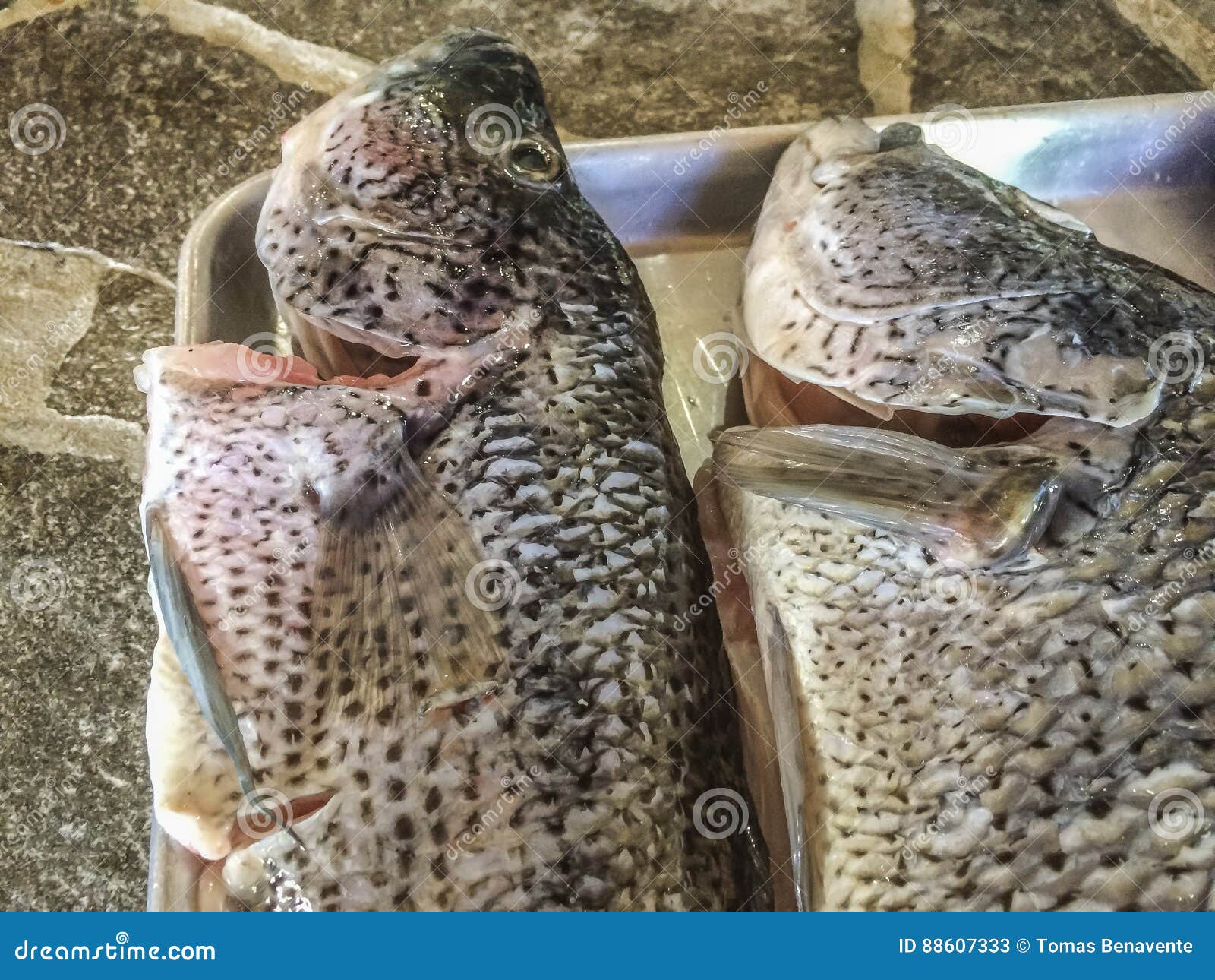 Large Fresh Fish at Granada`s Island Stock Image - Image of dinner ...