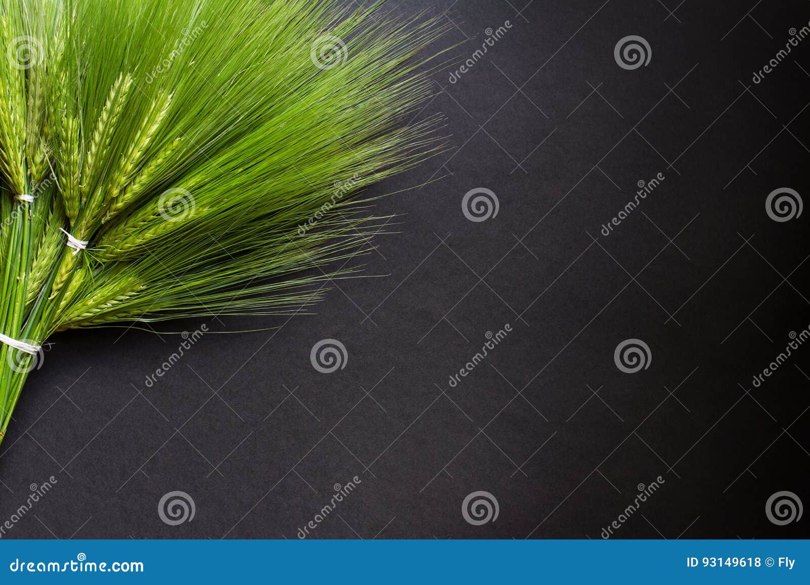 Large Fresh Green Wheat Bunch Stock Photo - Image of grow, bind: 93149618