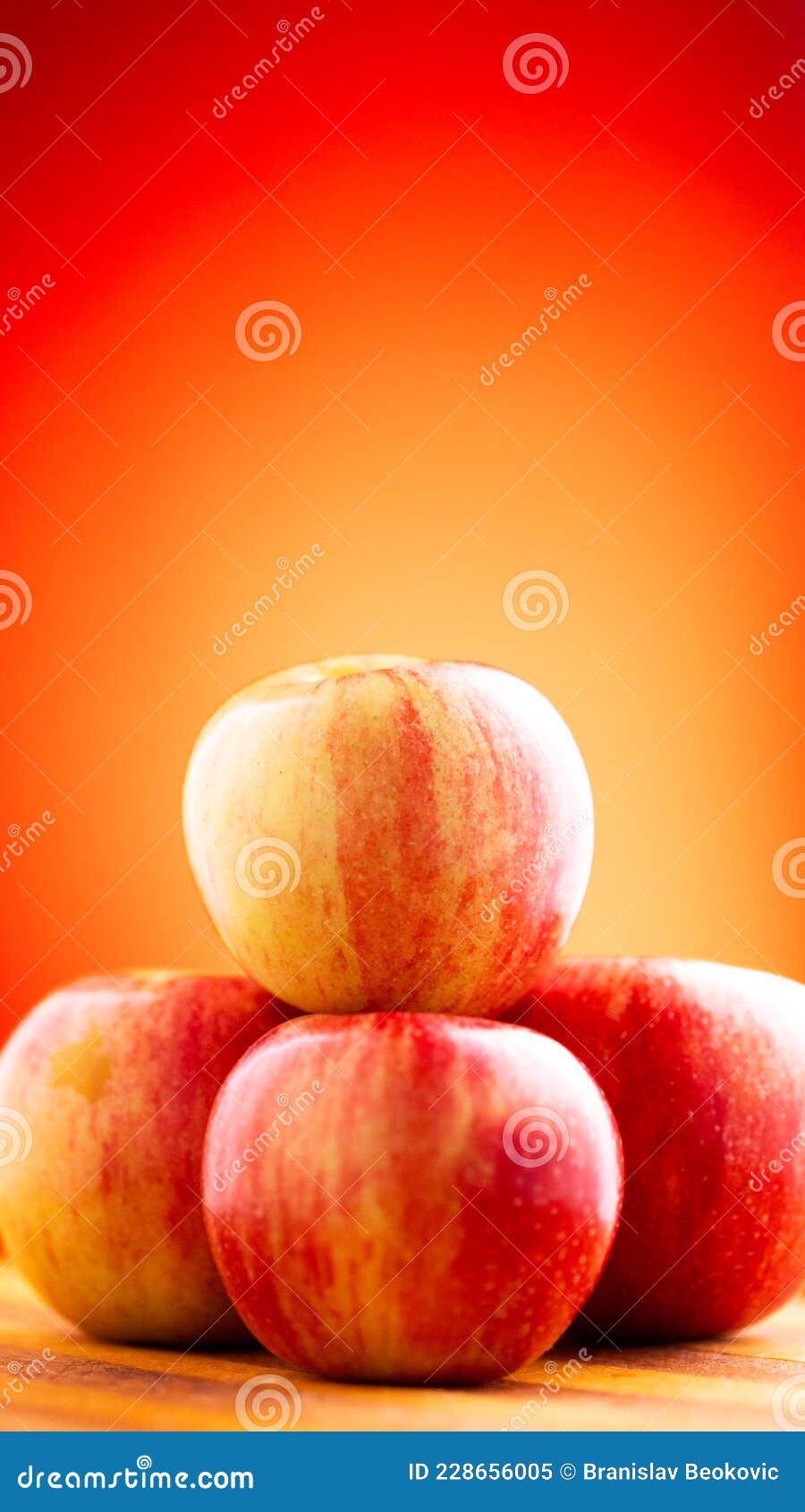 Large Fresh Red Apple on Red Background Gala Schnico Brookfield Mema ...