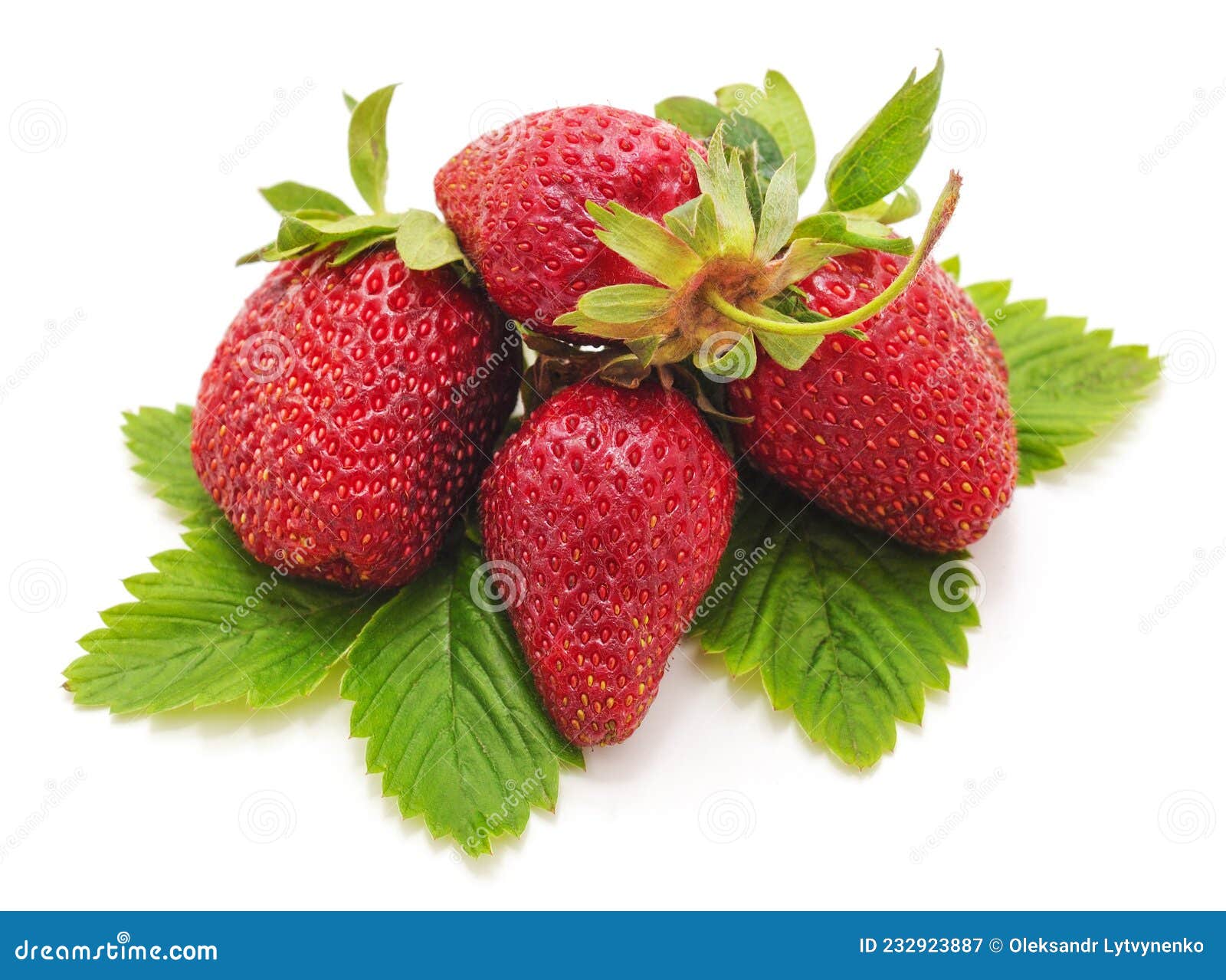 Large fresh strawberry stock image. Image of berry, plant - 232923887
