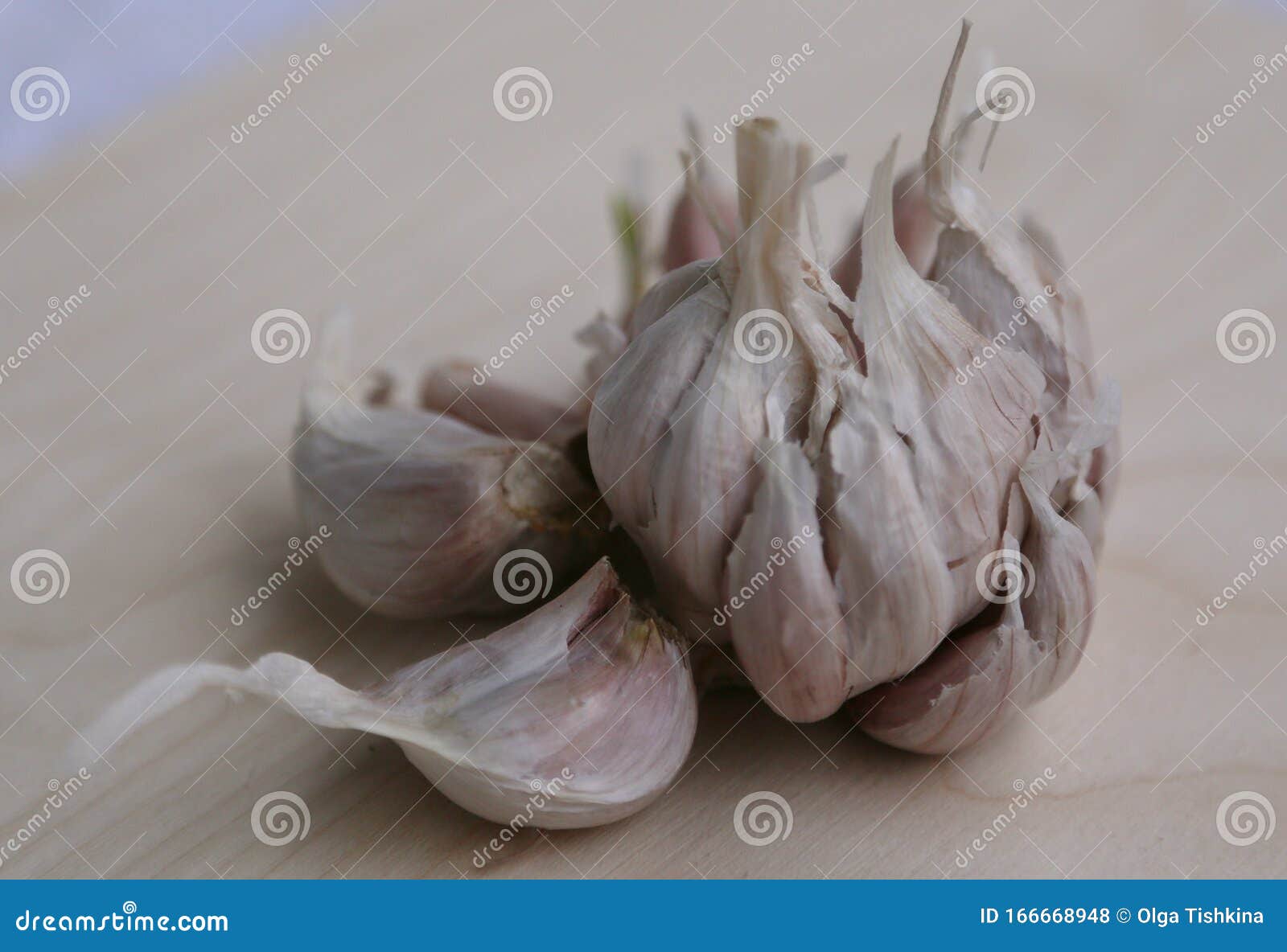 Large Garlic Head with Large Teeth Stock Photo - Image of large, green ...