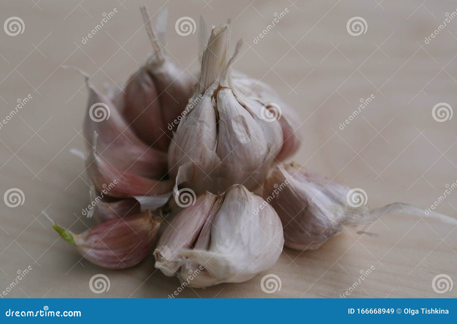 Large Garlic Head with Large Teeth Stock Image - Image of orange, ready ...