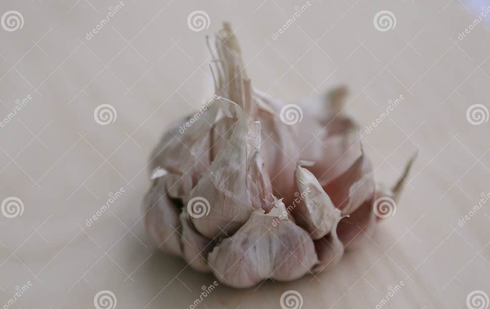 Large Garlic Head with Large Teeth Stock Photo - Image of lecture ...