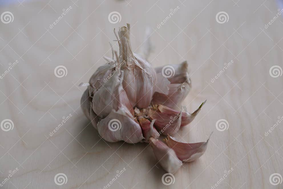 Large Garlic Head with Large Teeth Stock Image - Image of freshn ...